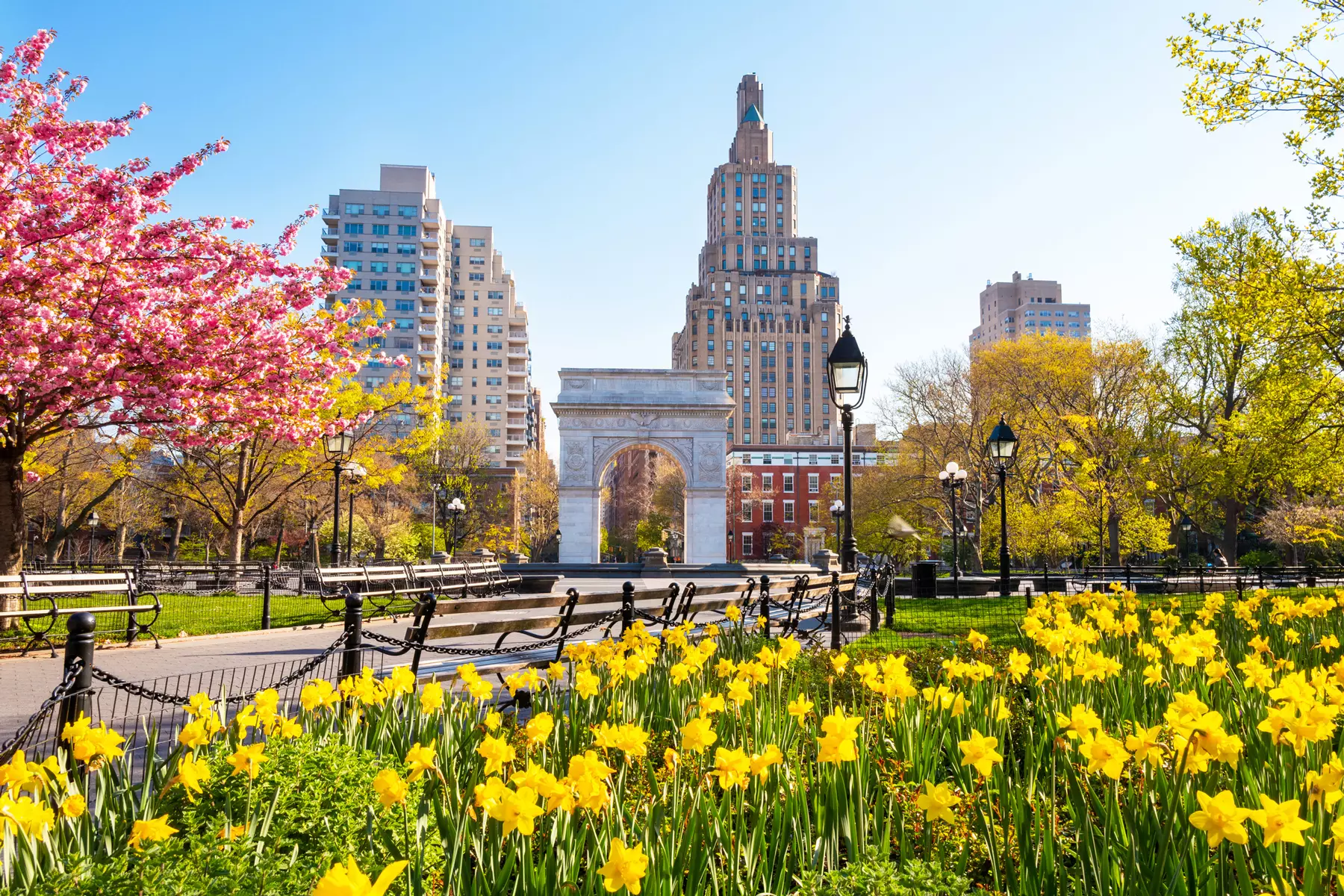 Flori înfloresc în Washington Square Park primăvara
