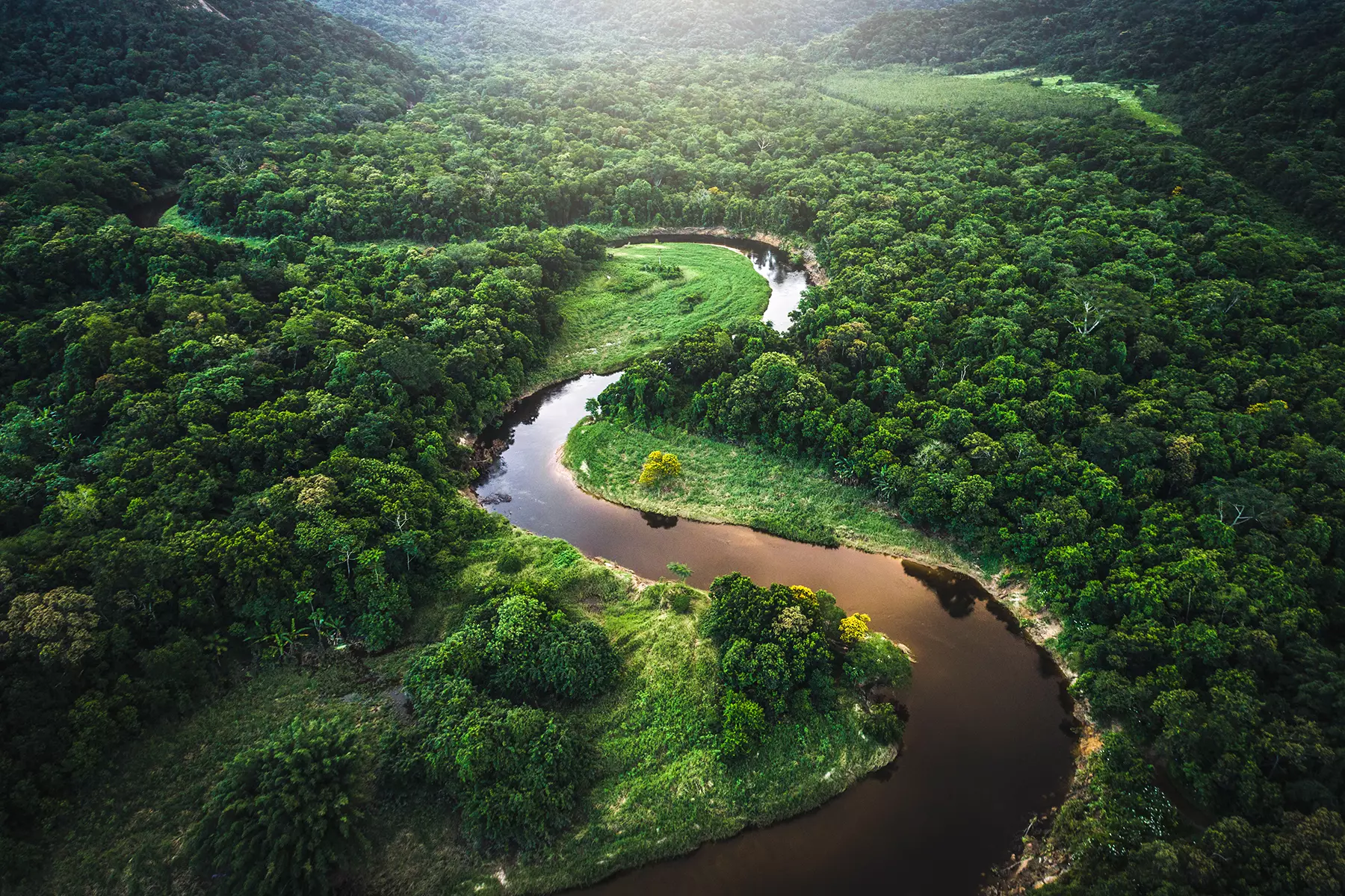 Mata Atlantica - Hutan Atlantik di Brazil