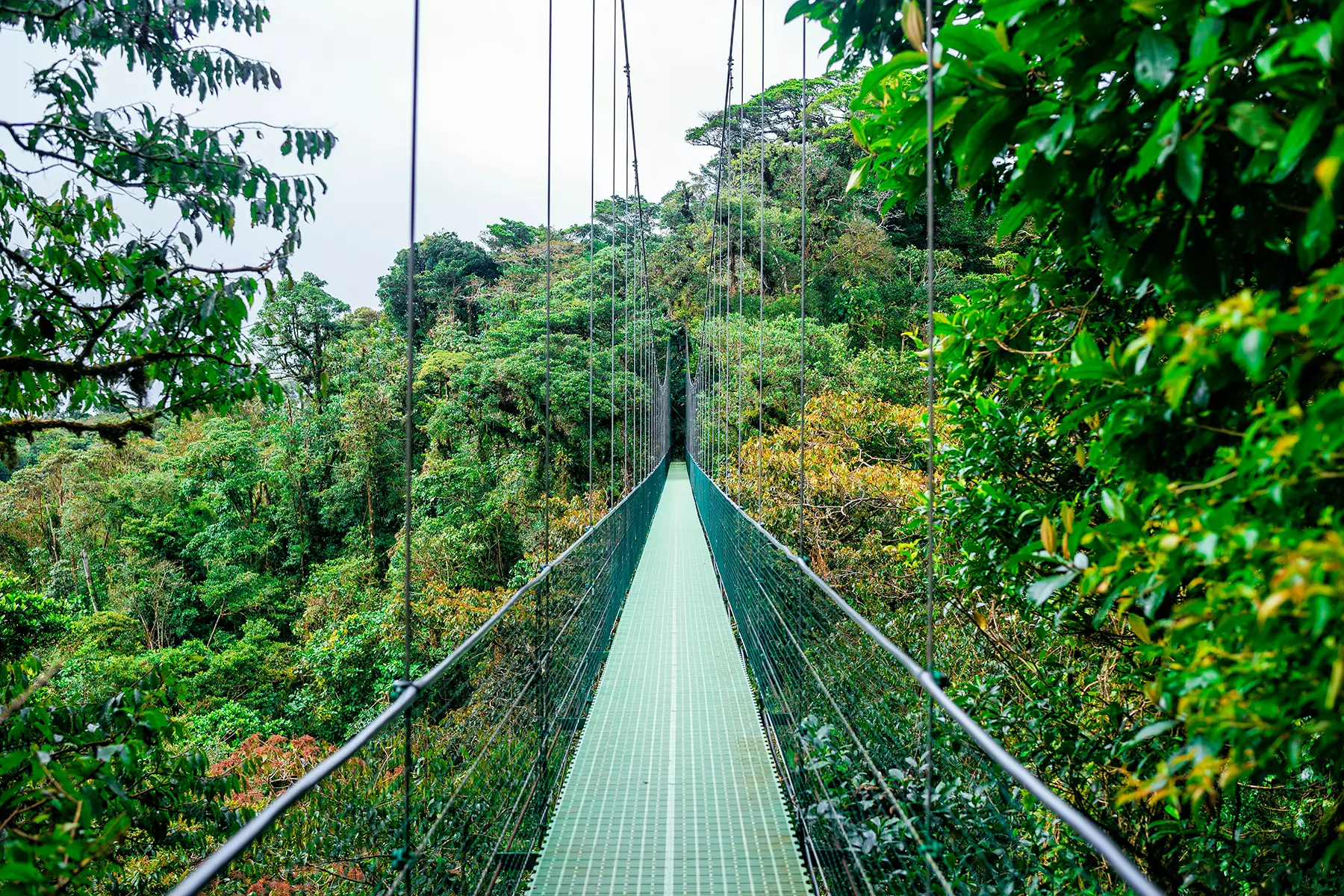 Jambatan gantung di Monteverde, Costa Rica