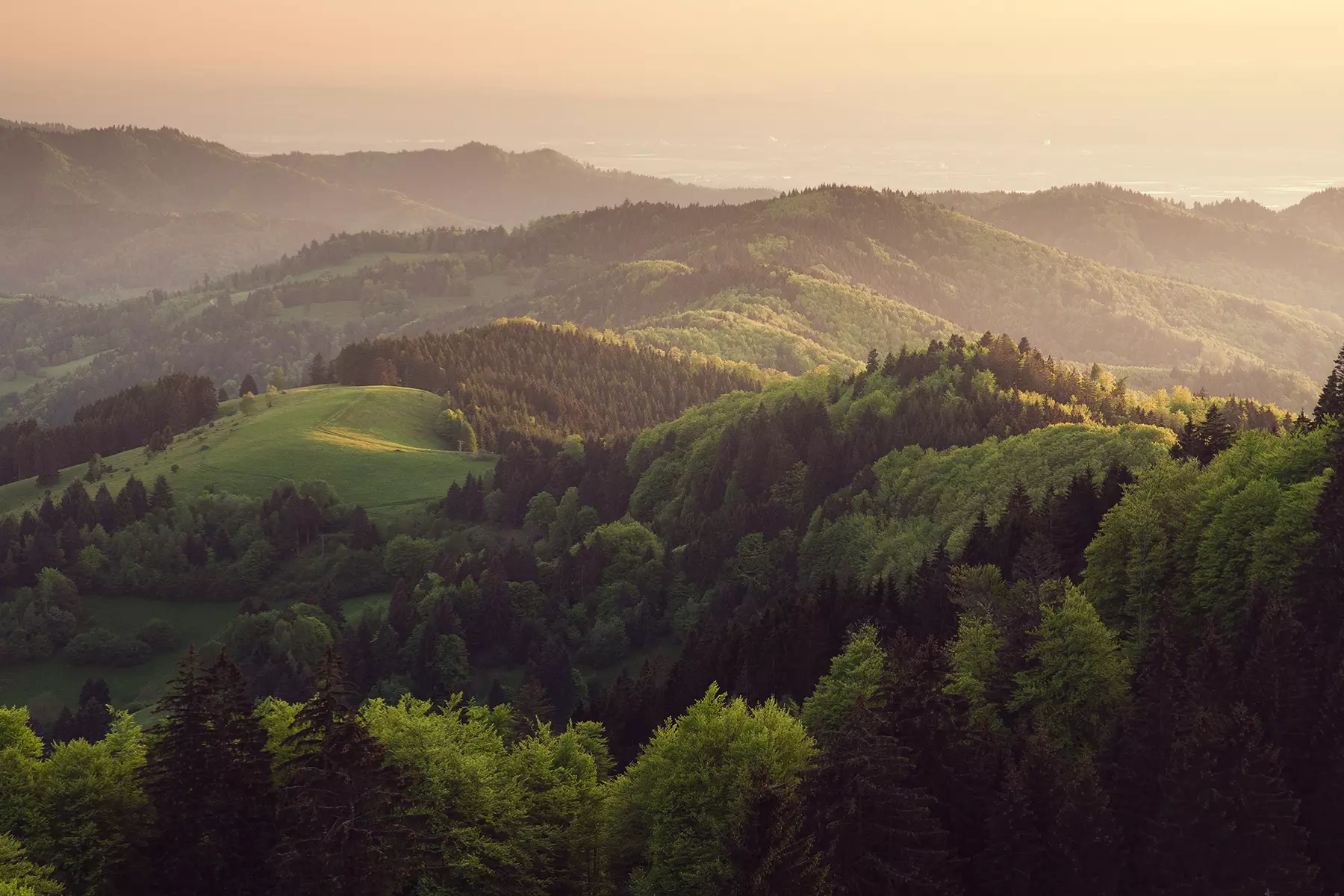 Pancaran matahari hangat terakhir menyentuh hutan hitam di Freiburg.