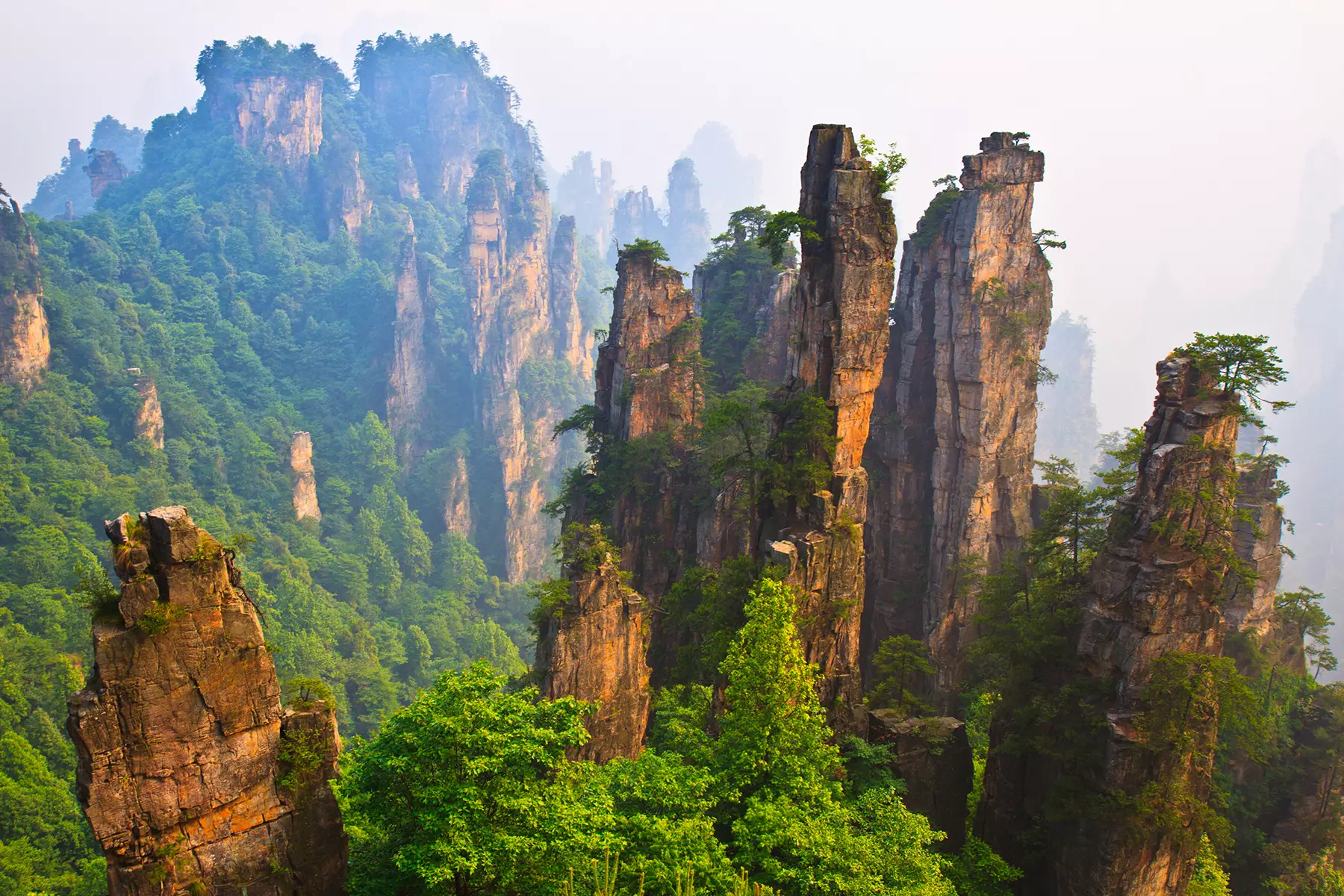 Dirakam di Rizab Semula Jadi Gunung Putera di Taman Hutan Negara Zhangjiajie, Tapak Warisan Dunia UNESCO di bahagian utara wilayah Hunan, China.