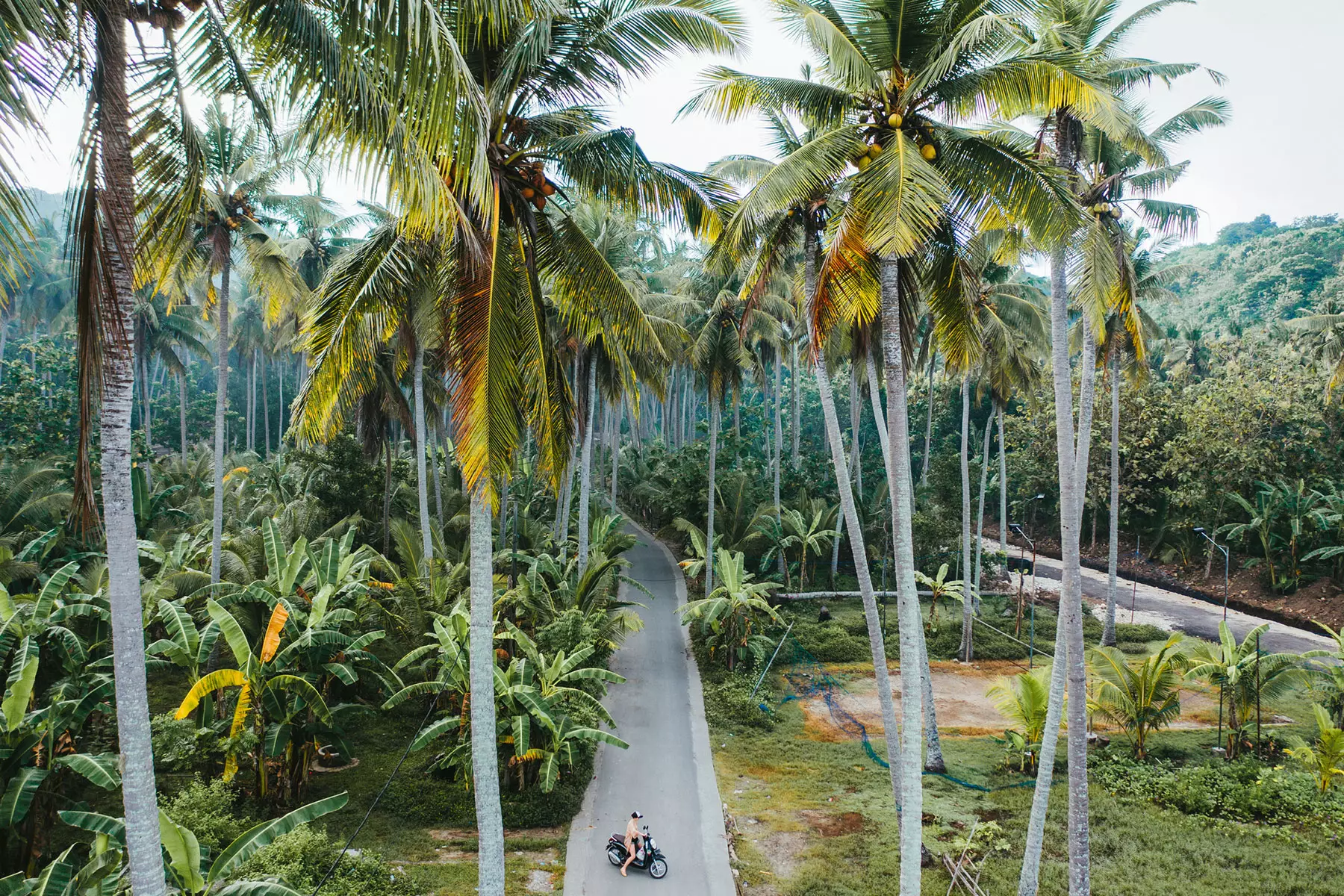 Bali