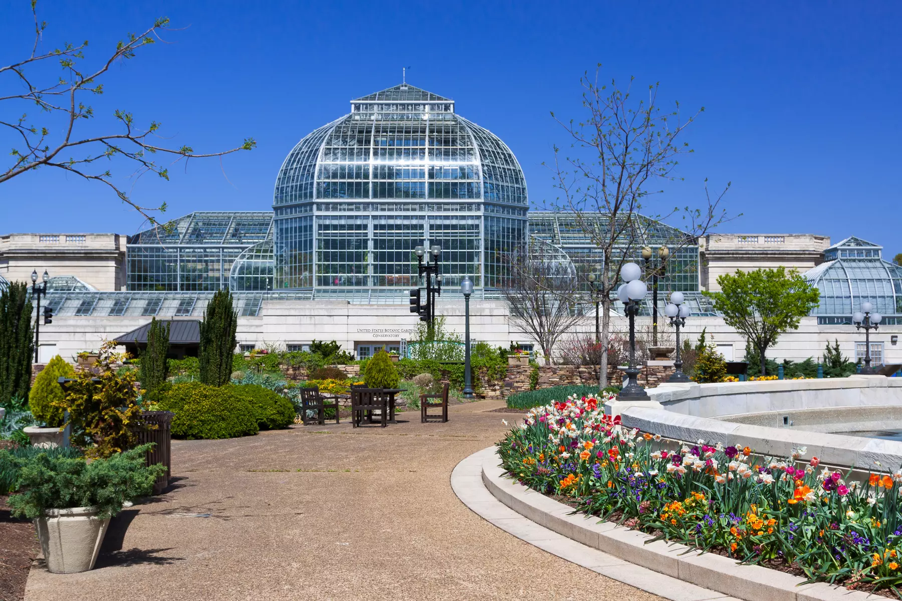 Amerika Birleşik Devletleri Botanik Bahçesi (USBG), Washington DC, ABD.