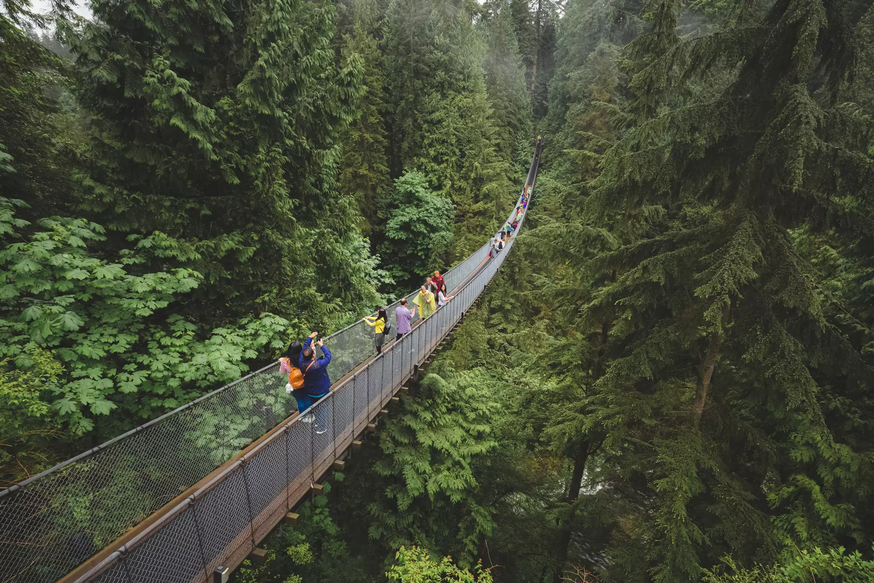 Mensen lopen over in Capilano Suspension Bridge Park, Vancouver