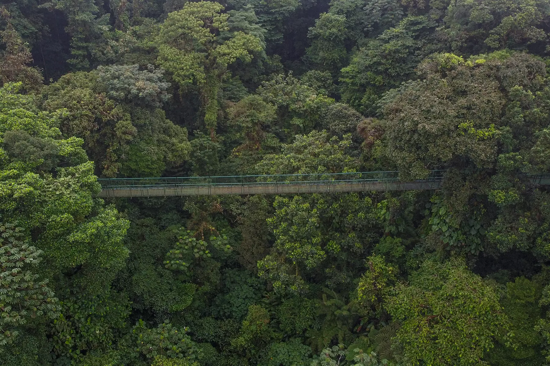 Aerial hlua choj ntawm Selvatura Park