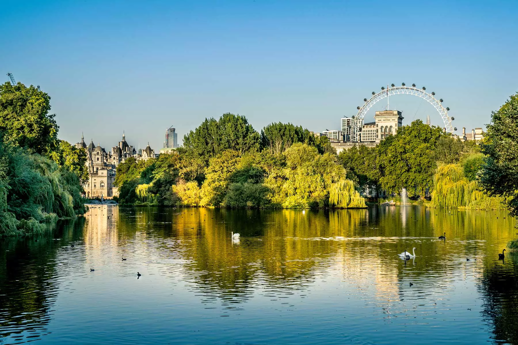 St. James Park, Londër, Mbretëria e Bashkuar, një liqen me mjellma dhe rrota Ferris në distancë