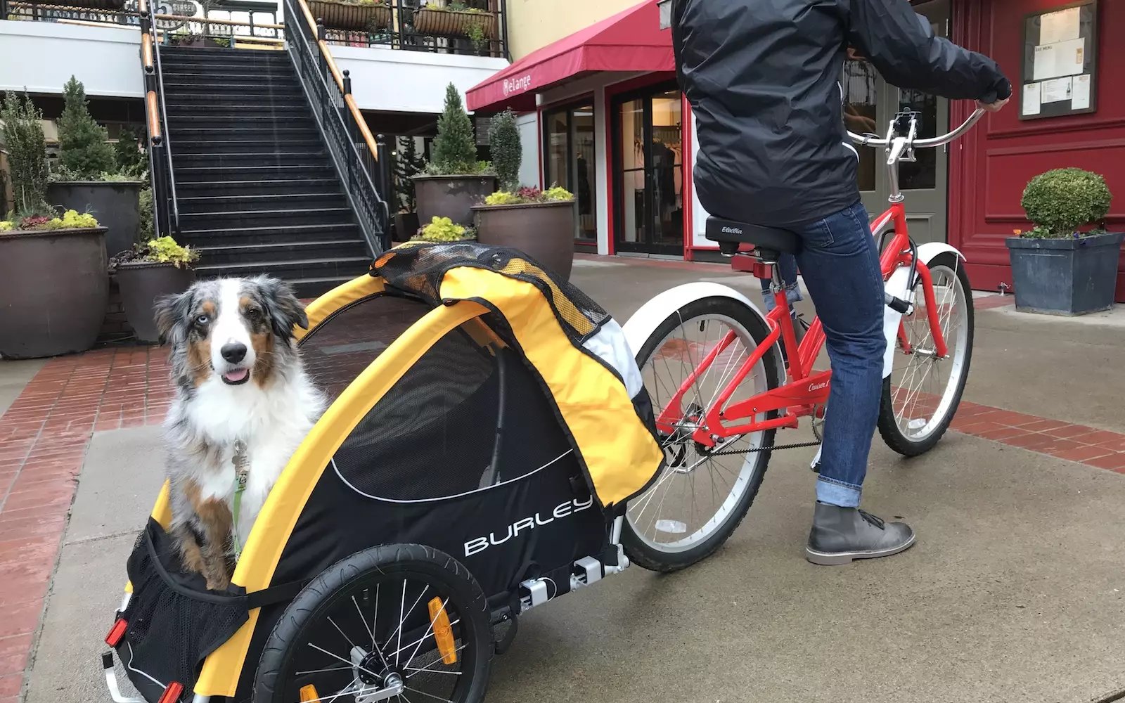 インアットザファイブスユージーン、オレゴン犬に優しい