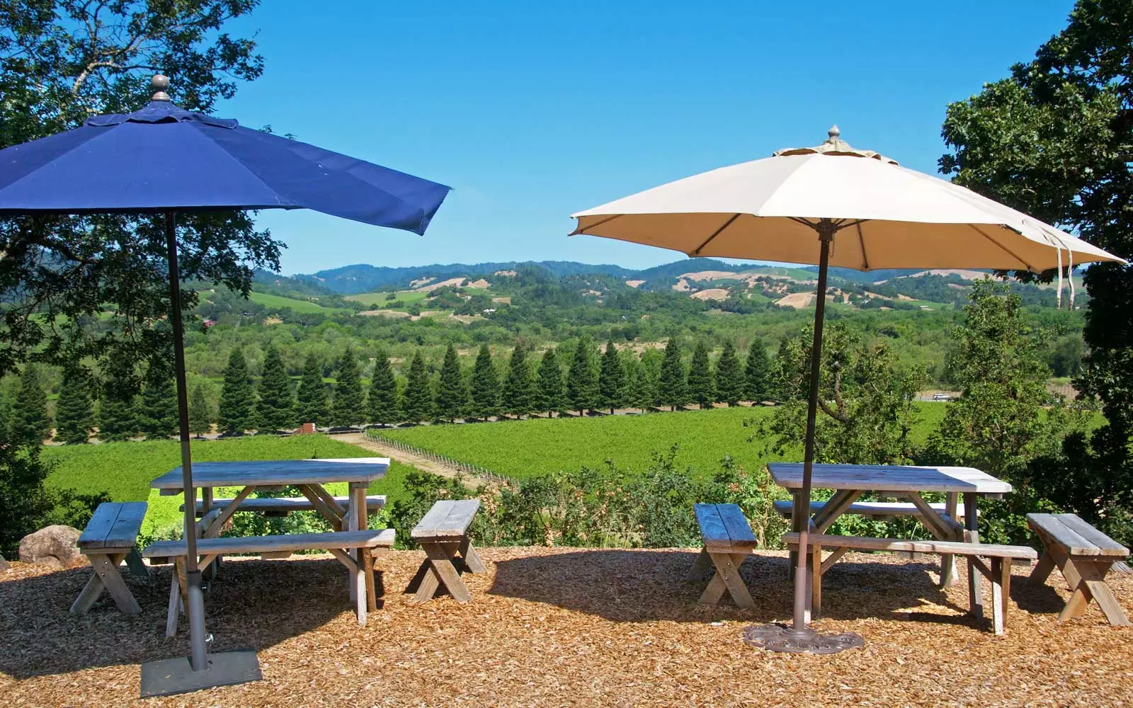 Utsikt fra Copain Wines, Sonoma, California