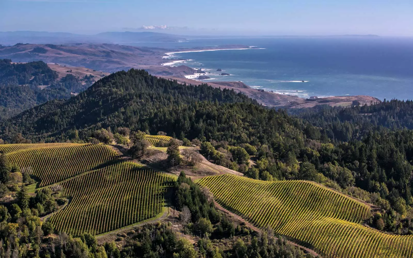 Tinatanaw ng Fort Ross Vineyard & Winery ang Pacific Ocean malapit sa Jenner, California