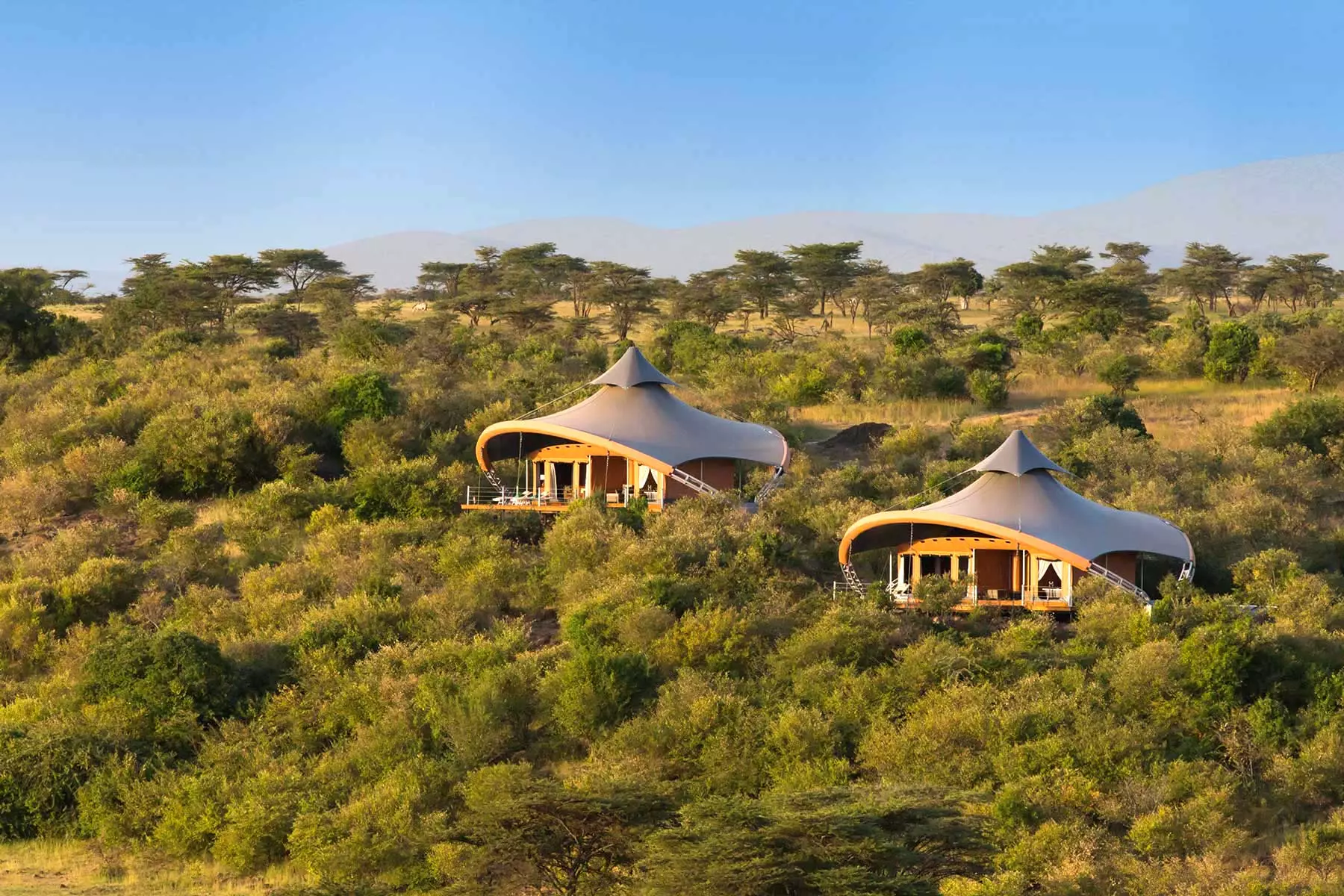 Dua vila tetamu yang terletak di dalam pokok di Mahali Mzuri, mengundi sebagai salah satu hotel terbaik di dunia