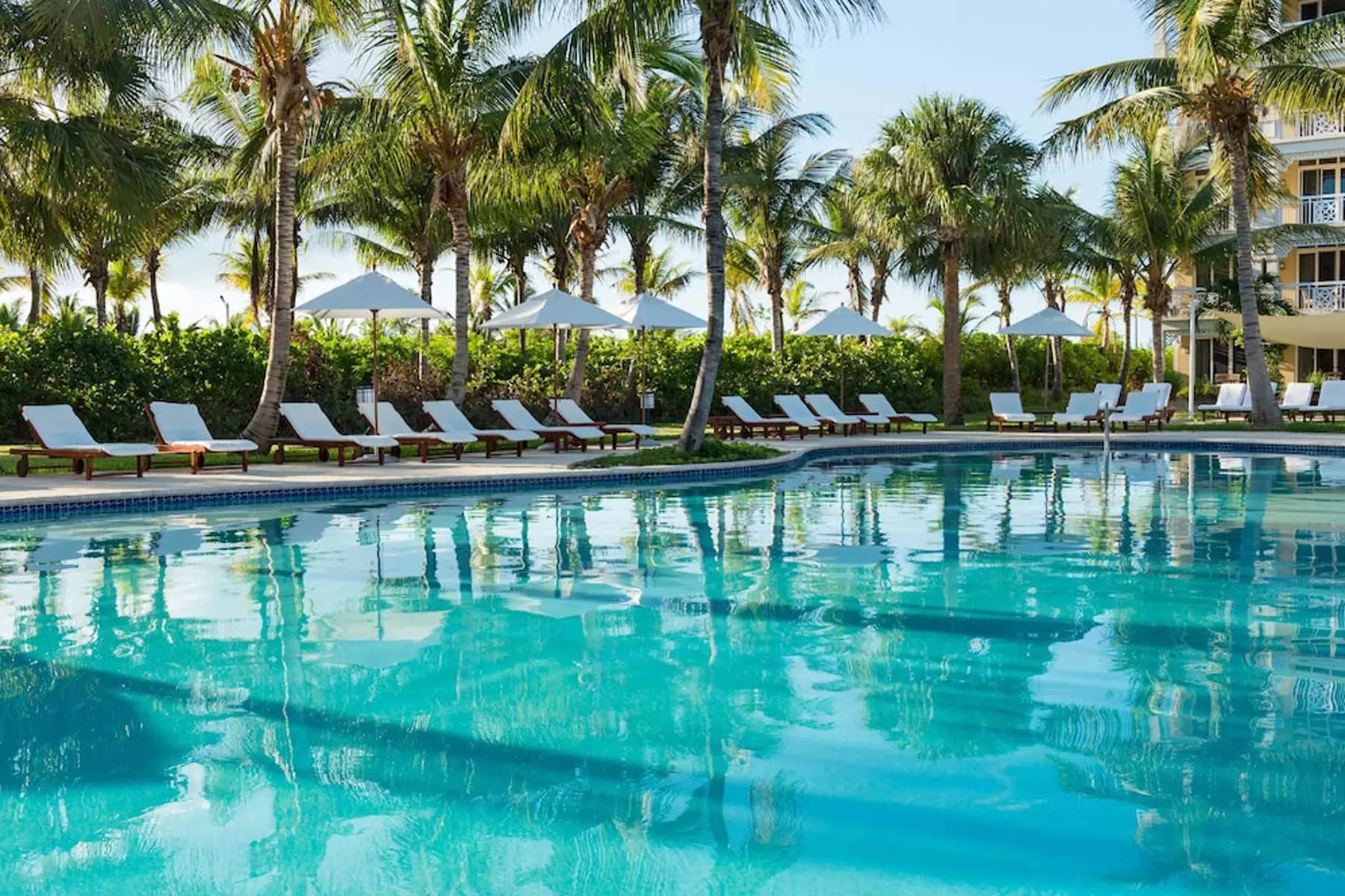 Kolam renang sareng tangkal korma di Alexandra Resort, Providenciales, Turks & Caicos