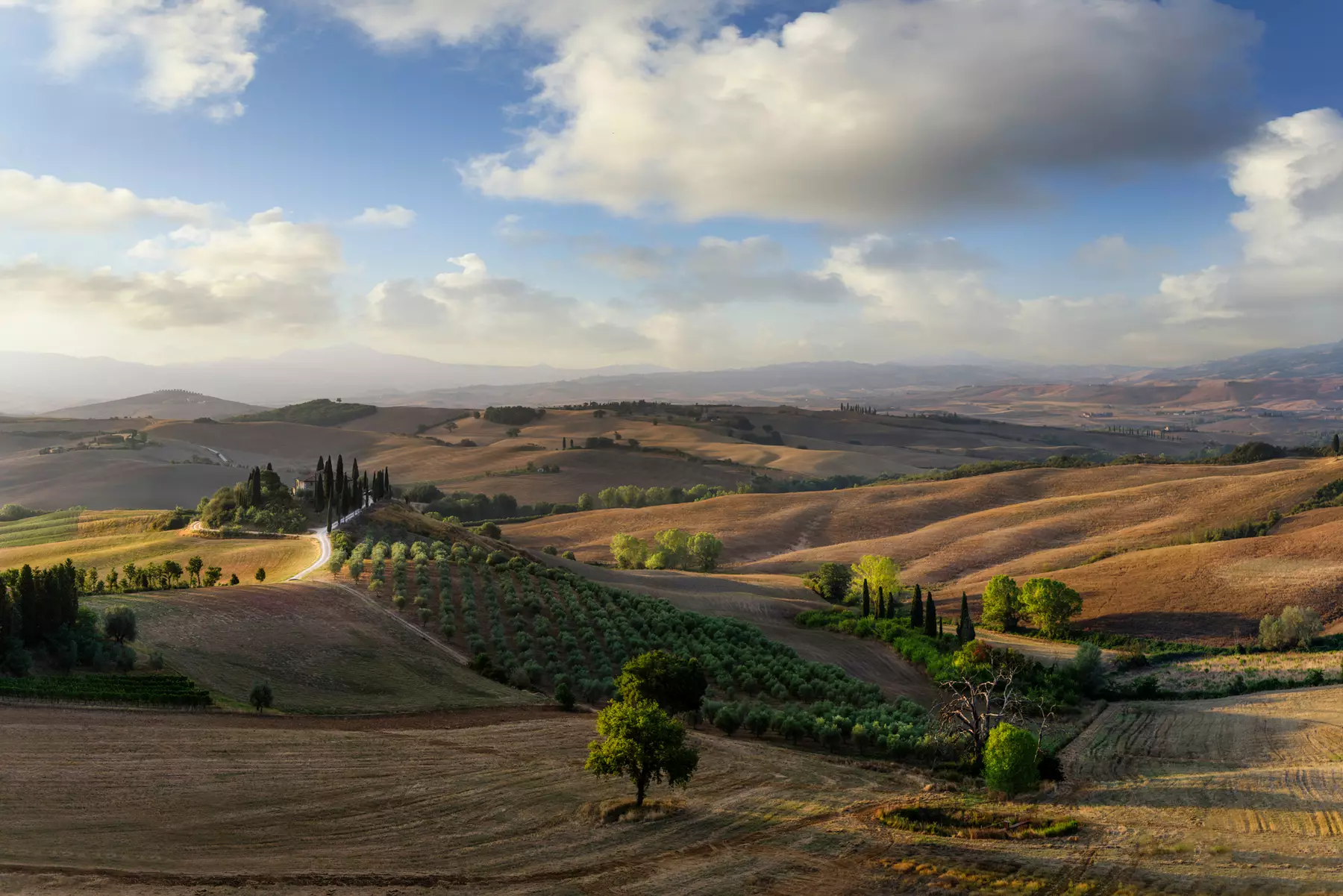 सुन्दर Tuscan परिदृश्य, इटाली मा Val d'Orcia क्षेत्र