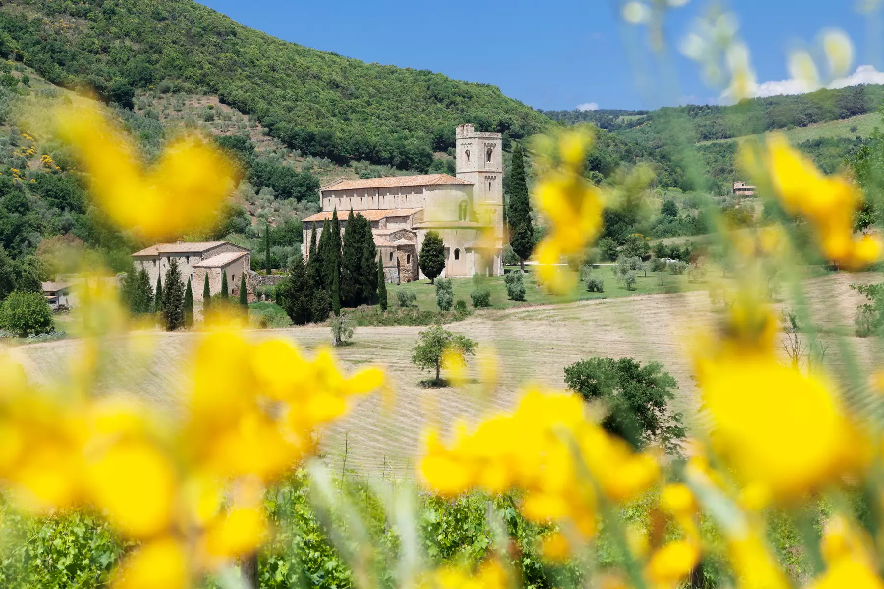 Sant Antimo Abbey, Monastery, Castelnuovo dell'Abate, Montalcino नजिकै, Val d'Orcia, Orcia Valley, Tuscany, Siena Province, इटाली