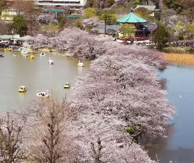 Ueno Park, Tokyo