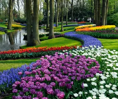 Keukenhof၊ Lisse၊ နယ်သာလန်