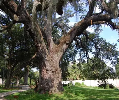 City Park, New Orleans