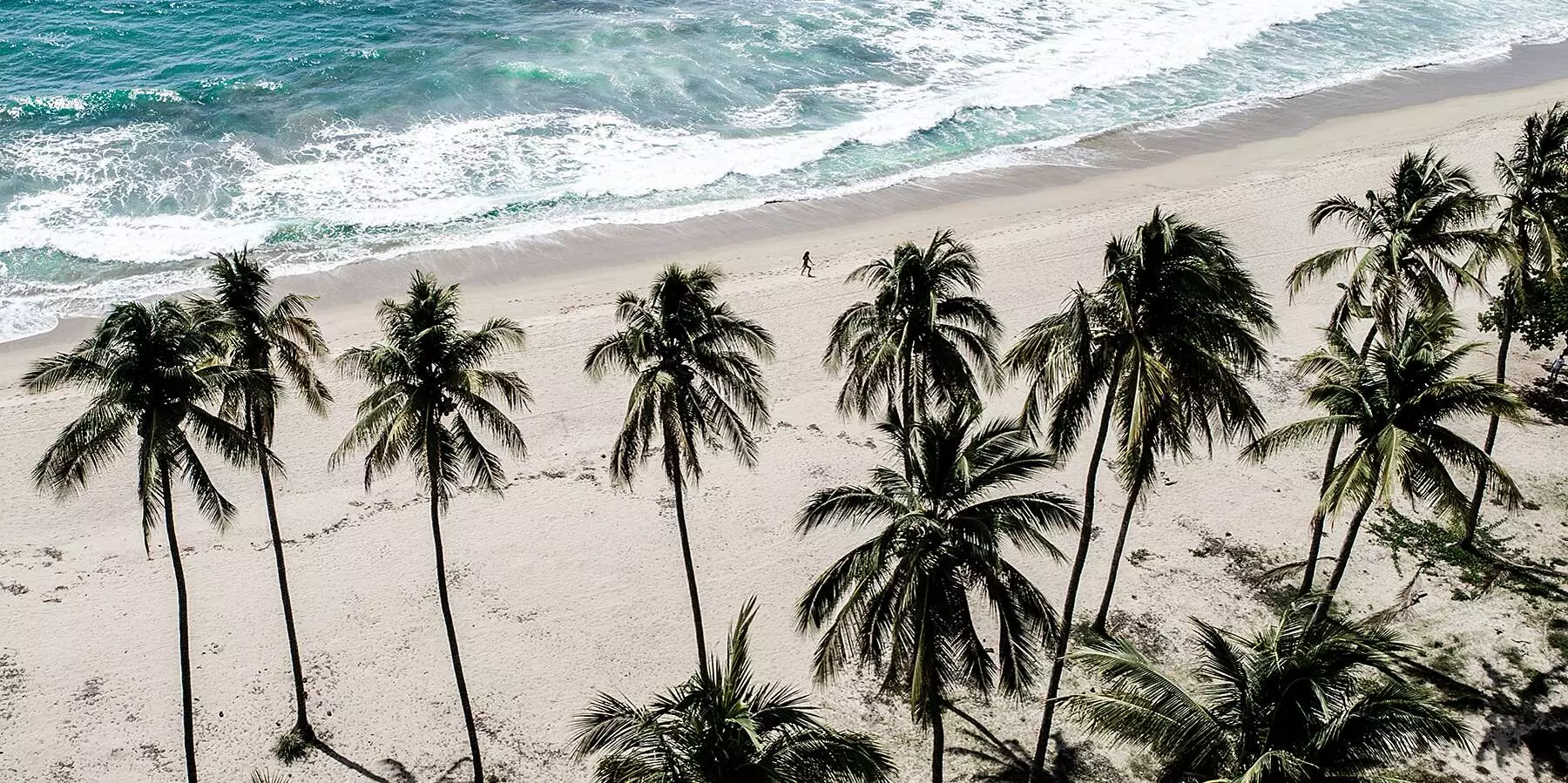 Zergatik da Riviera Nayarit Mexikoko neguko helmugarik beroena