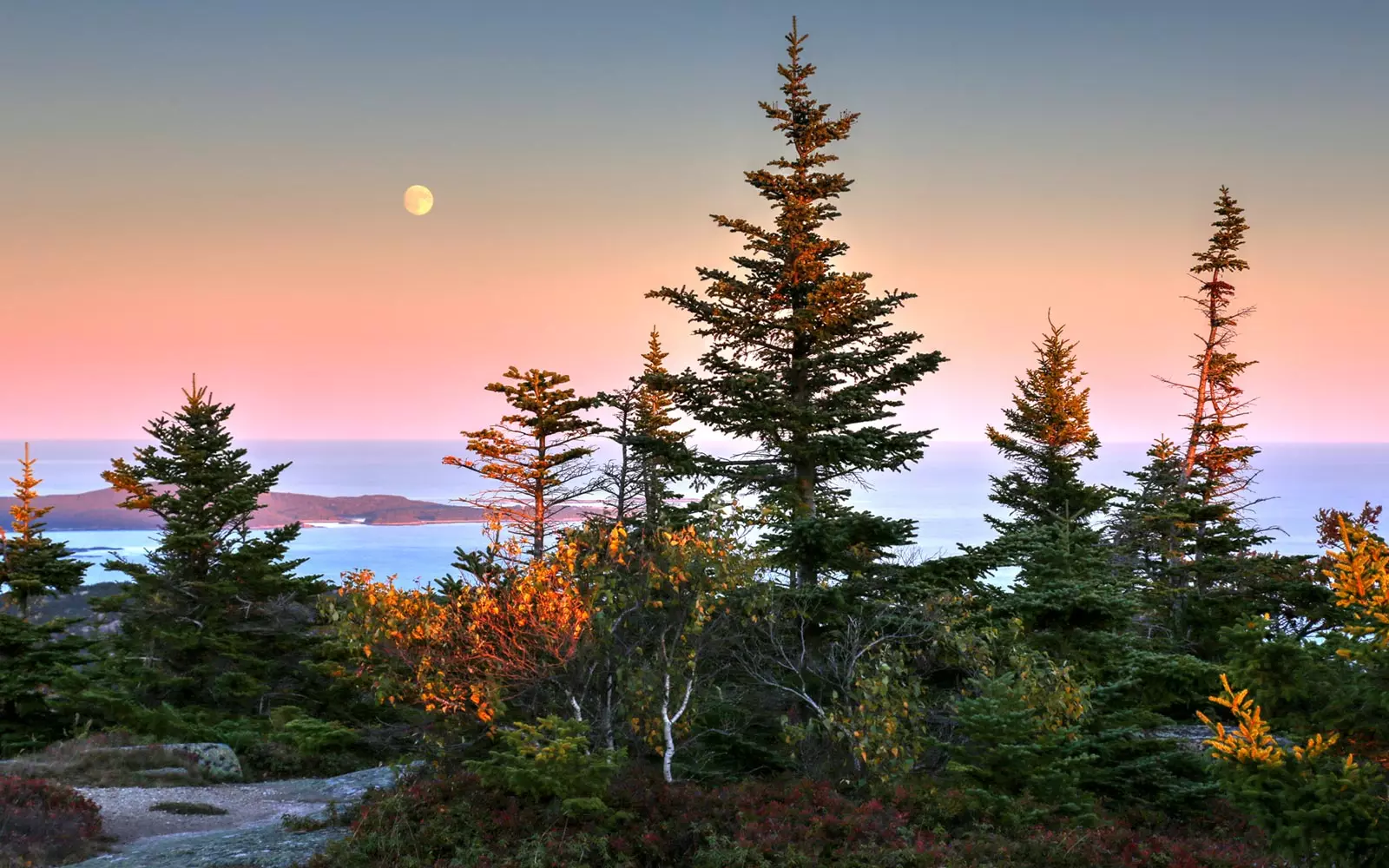 Beerta Qaranka ee Acadia, Maine