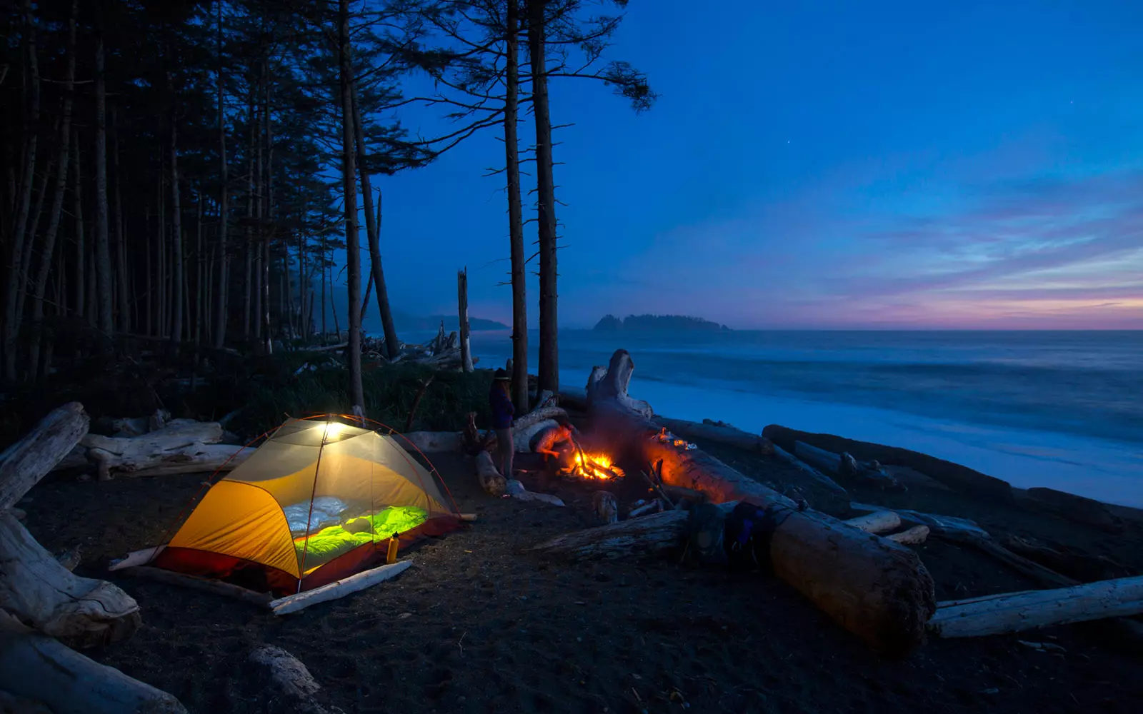 I-Olympic National Park, eWashington