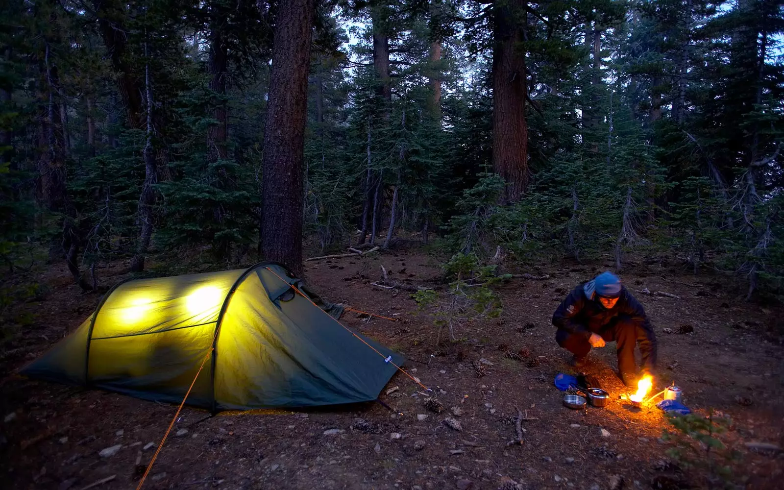 I-Sequoia kanye ne-Kings National Parks, eCalifornia