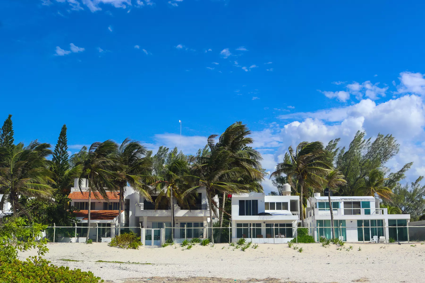 Række af feriestrandhuse tilbagetrukket fra den offentlige strand i en mexicansk landsby med lyseblå himmel og palmer, der blæser i vinden