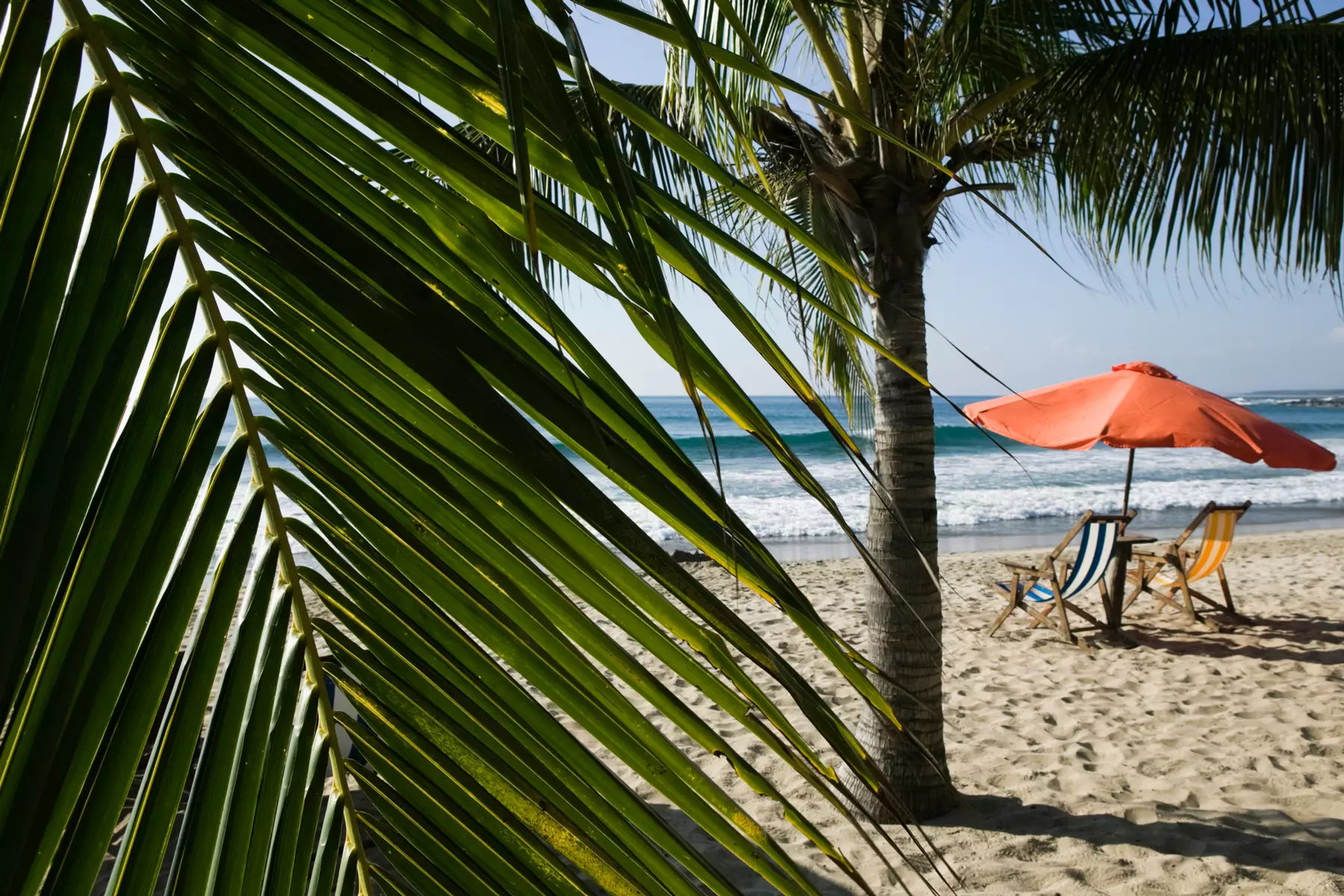 Strandstoelen en parasol onder palmbomen in Troncones, Guerrero