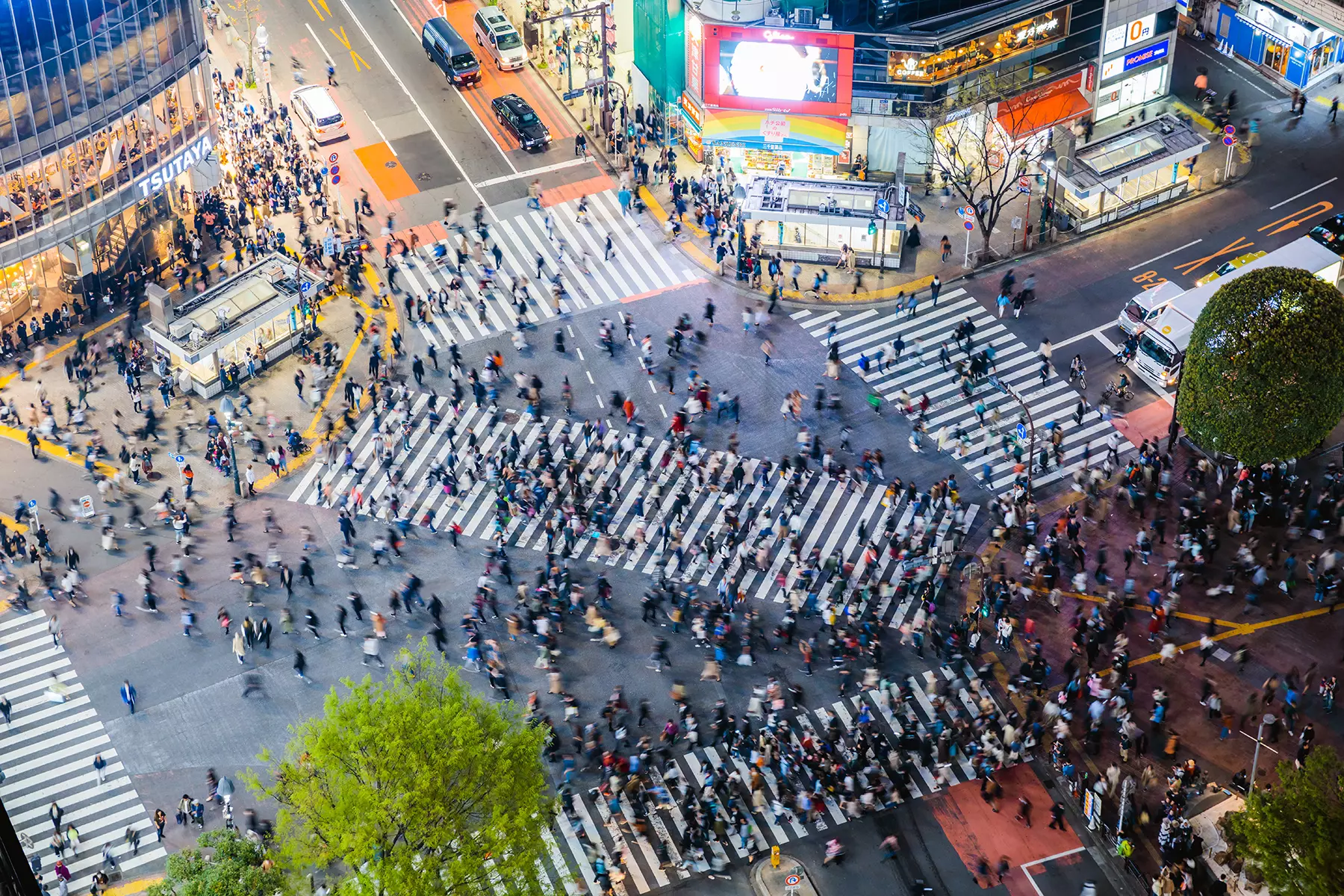 Famoso paso de peatones de Shibuya, Tokio, Japón