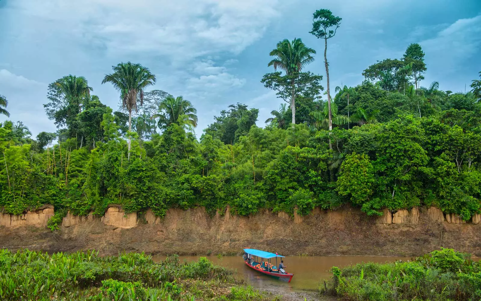 මනු ජාතික වනෝද්‍යානය, පේරු