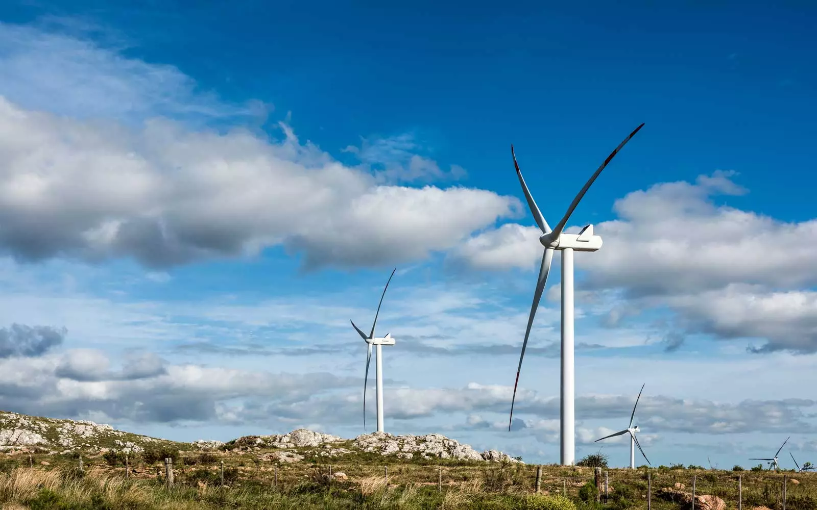 Windmolens op de Sierra Carape in het departement Maldonado, Uruguay