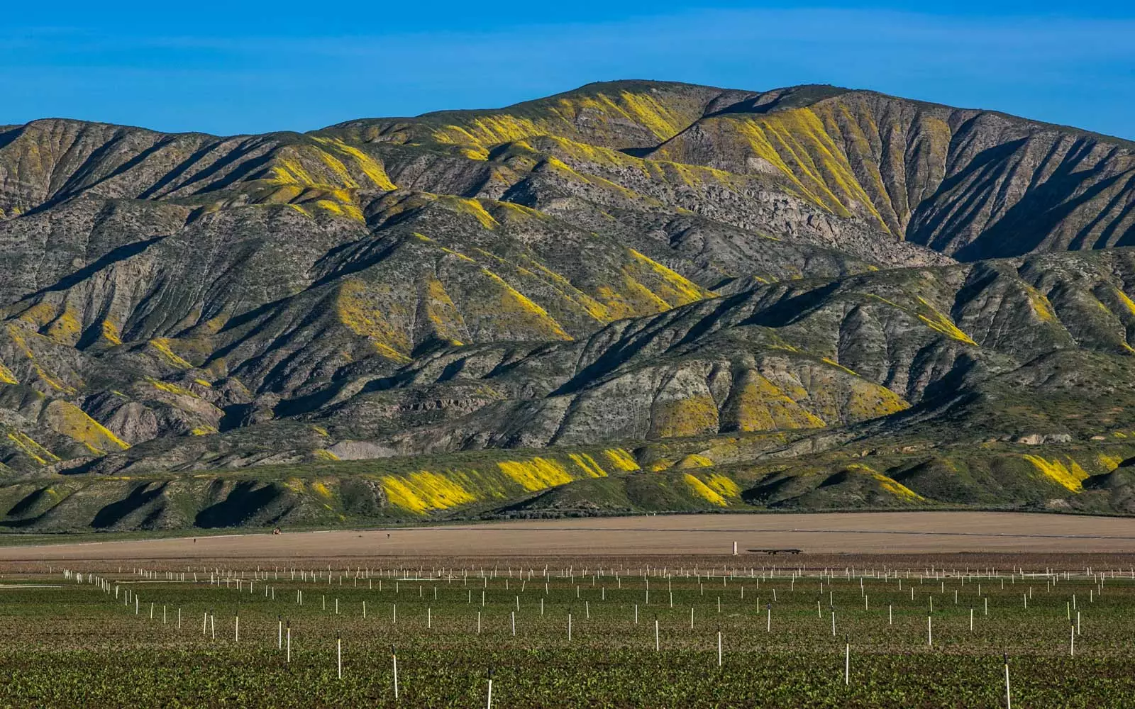 Skúmanie údolia Cuyama v okrese Santa Barbara