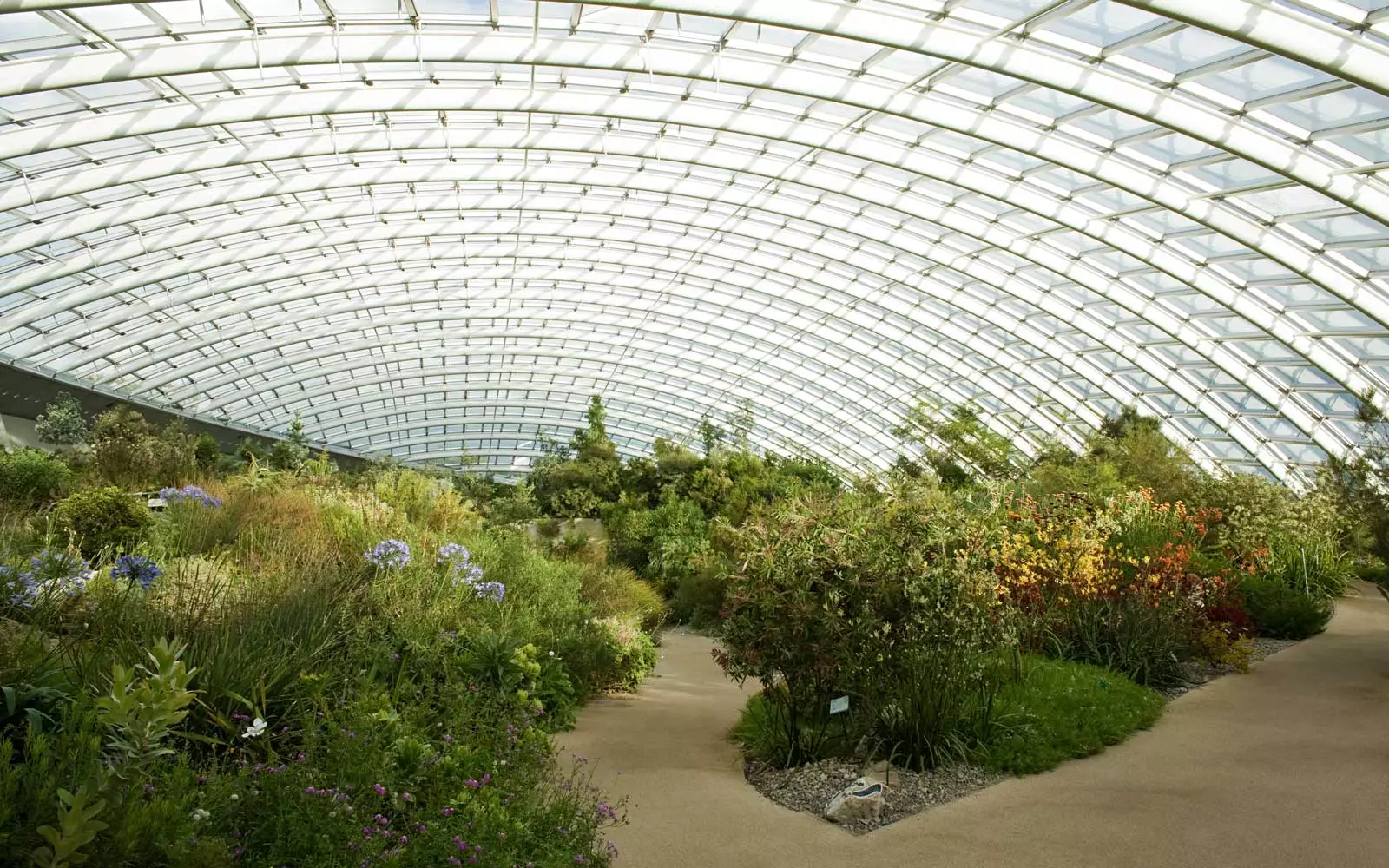 Nationale Botanische Tuin, Wales