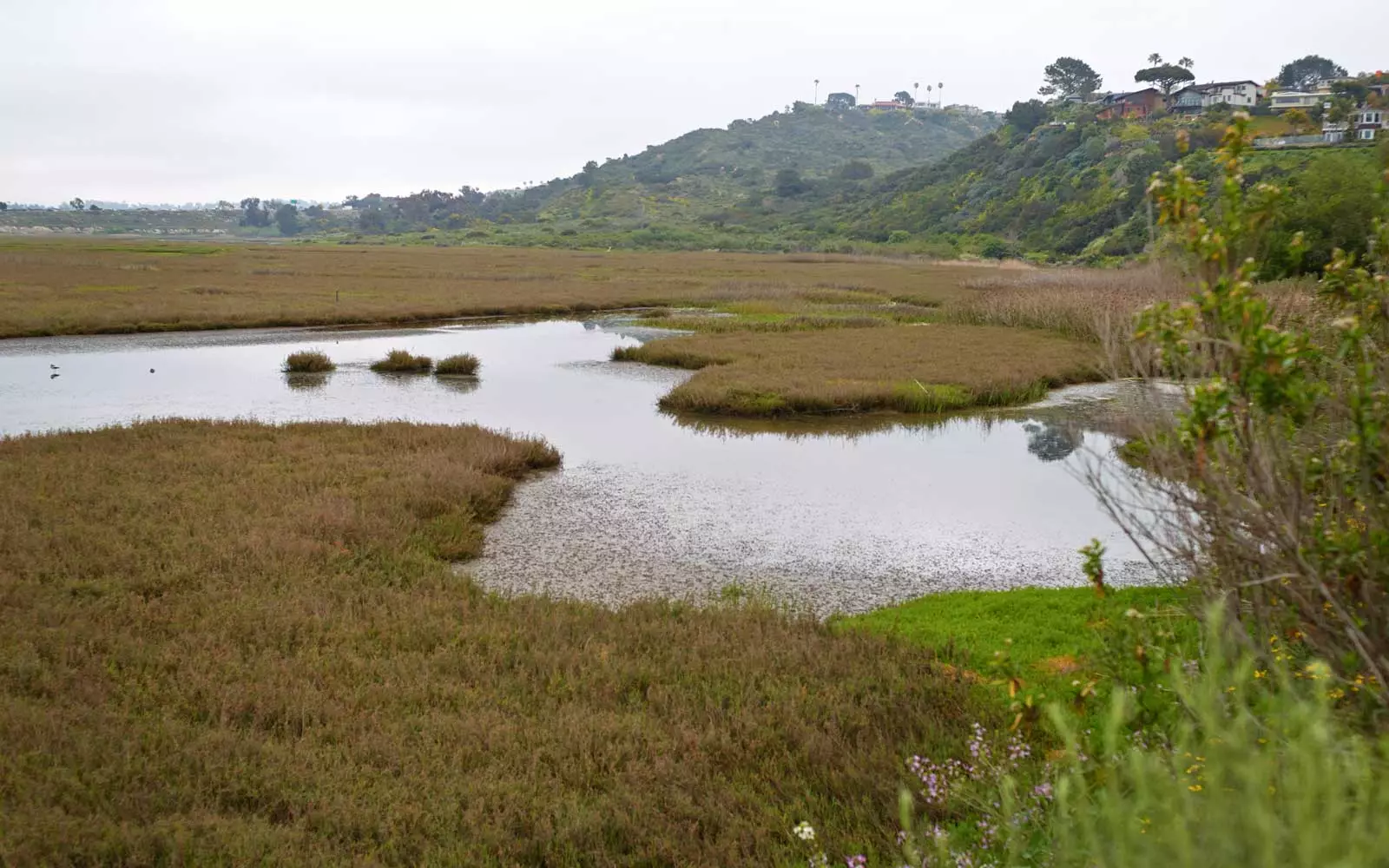 Landschap van de San Elijo-lagune in Californië