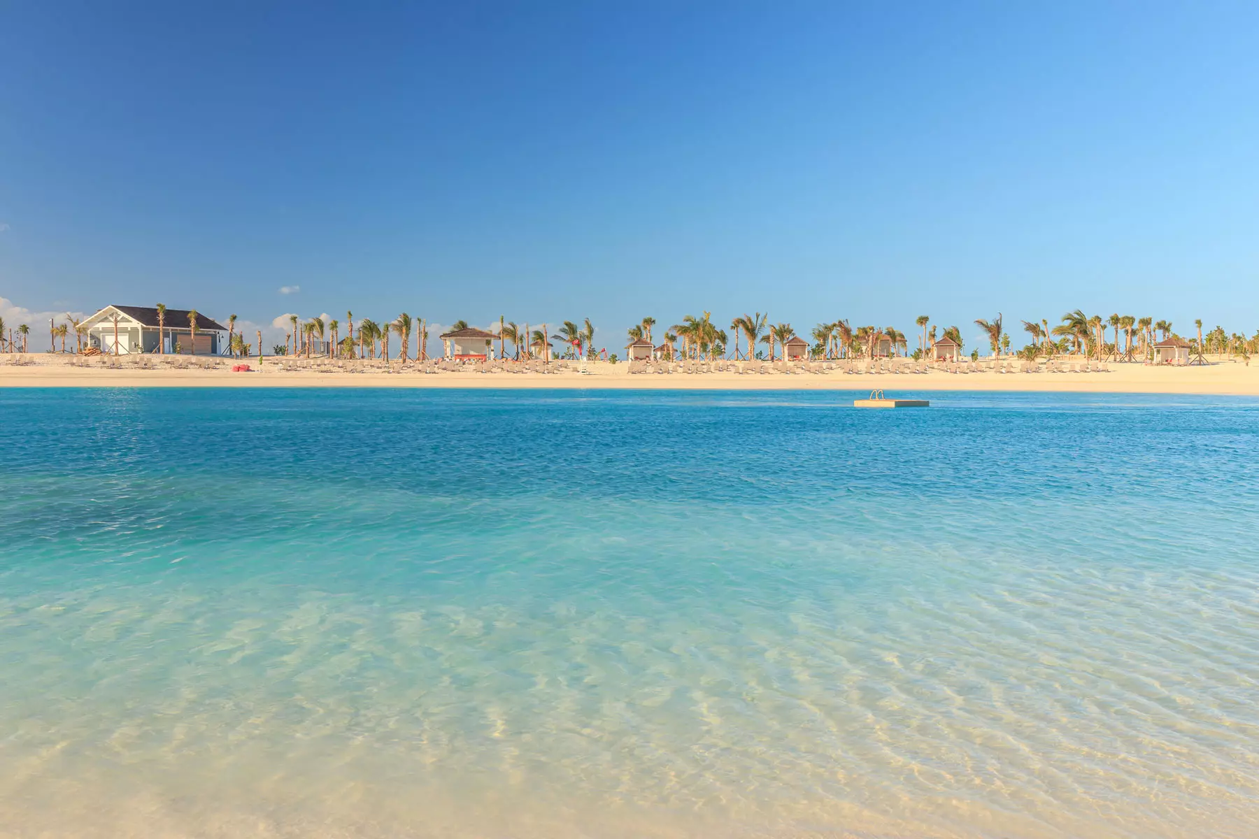 Vista da praia bordeada de palmeiras desde as augas azules claras en Nassau, Bahamas