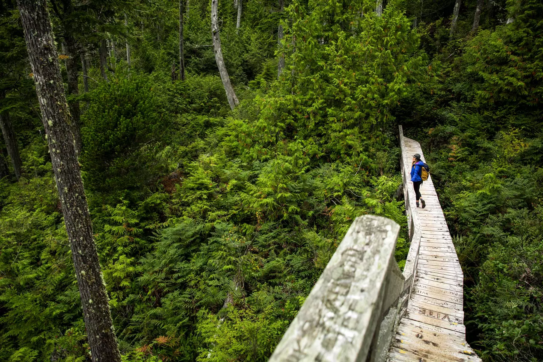 Pulau Vancouver, Kanada