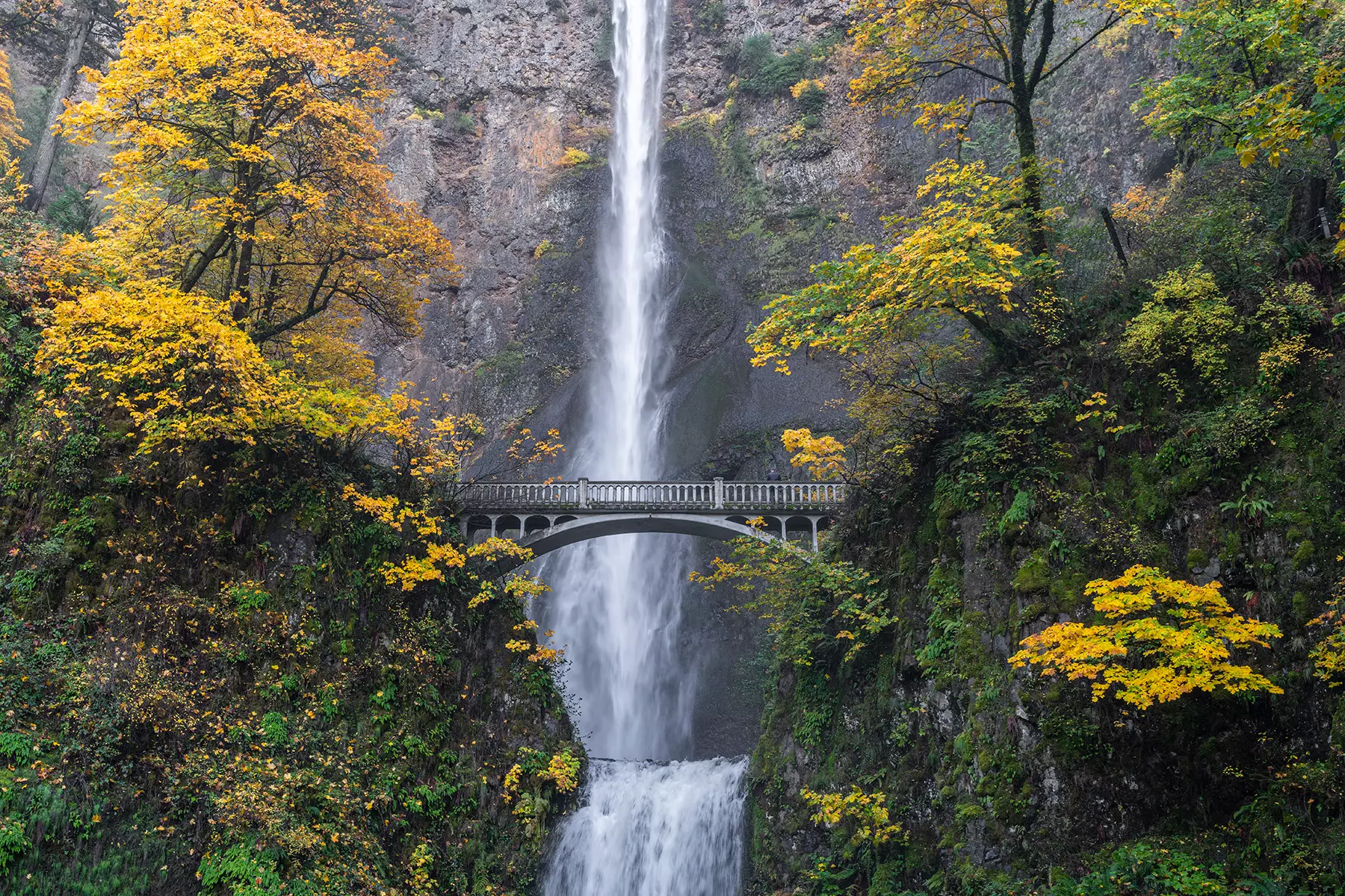 Multnomah Falls mu autumn. Cascade Locks, Multnomah County, Oregon, US.