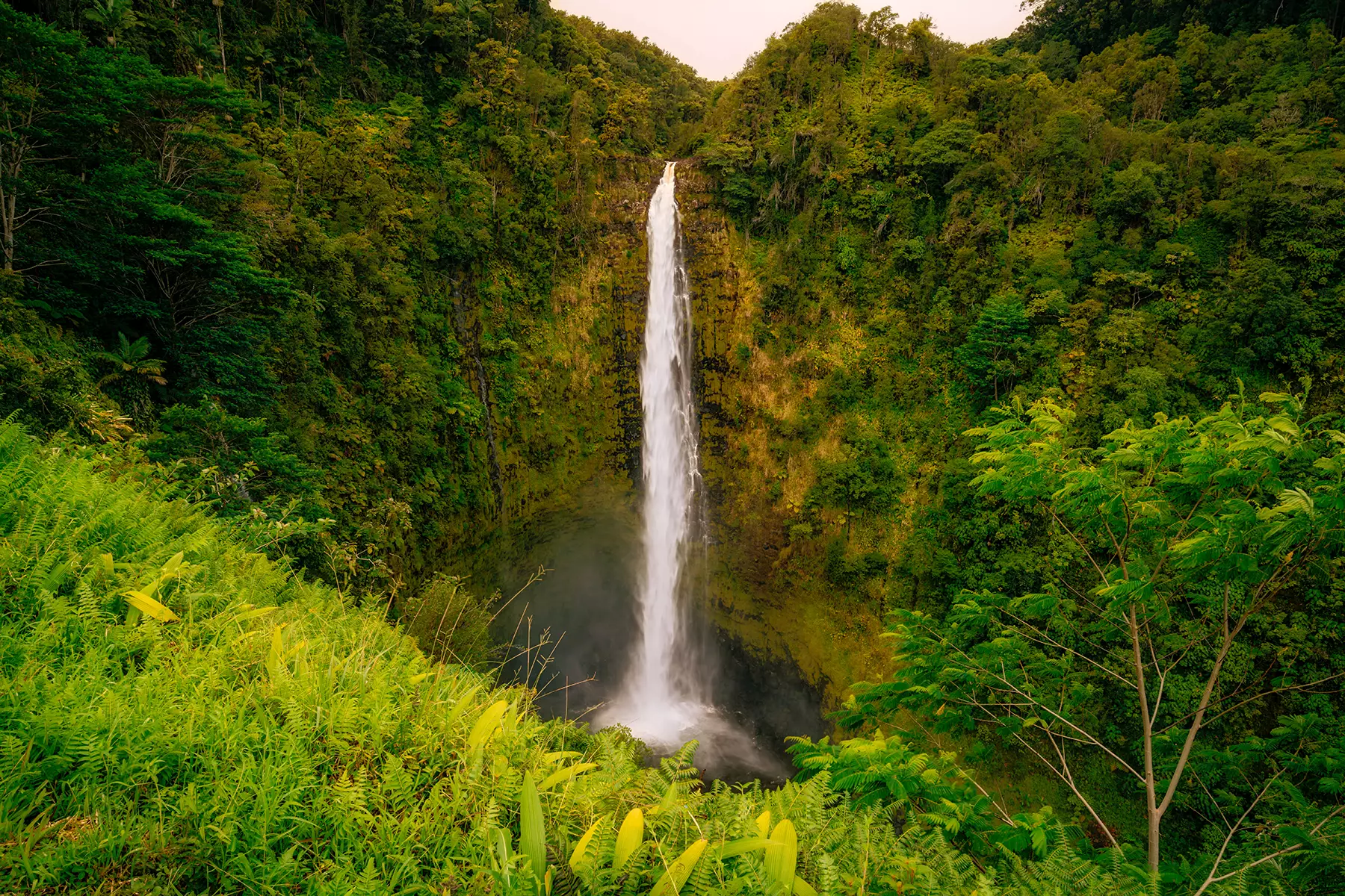 As quedas de 'Akaka são uma cachoeira de 422 pés (135 m) de altura e são o destaque do parque estadual das quedas de Akaka.