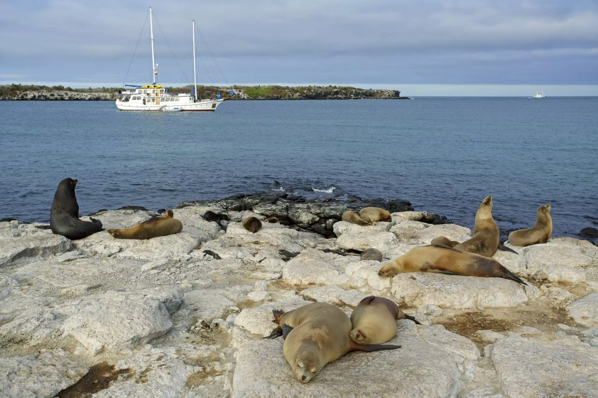 ໝູ່ເກາະ Galápagos, Ecuador