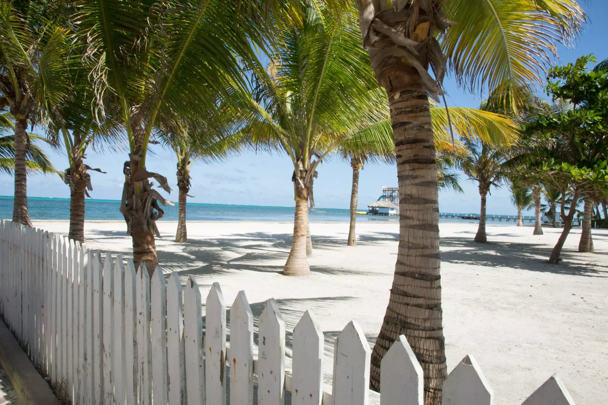 Ambergris Caye, 伯利茲