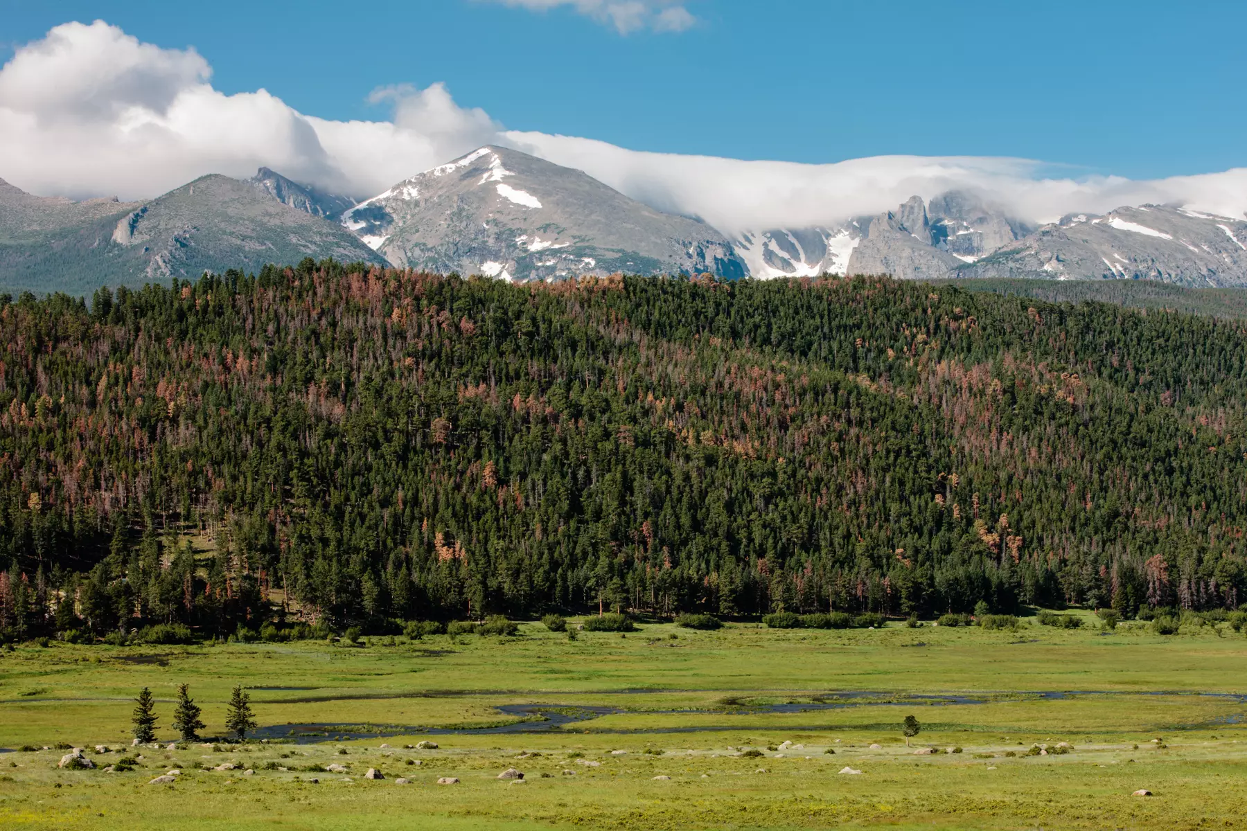 Ang mga panganod mikupot pag-ayo sa tumoy sa kabukiran nga naglibot sa Moraine Park sa tunga-tunga sa Hulyo sa buntag sa Rocky Mountain National Park, Colorado.