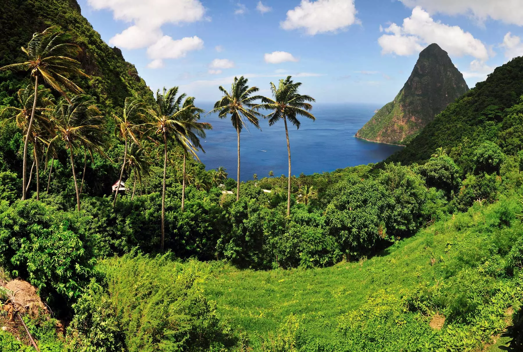 St Lucia