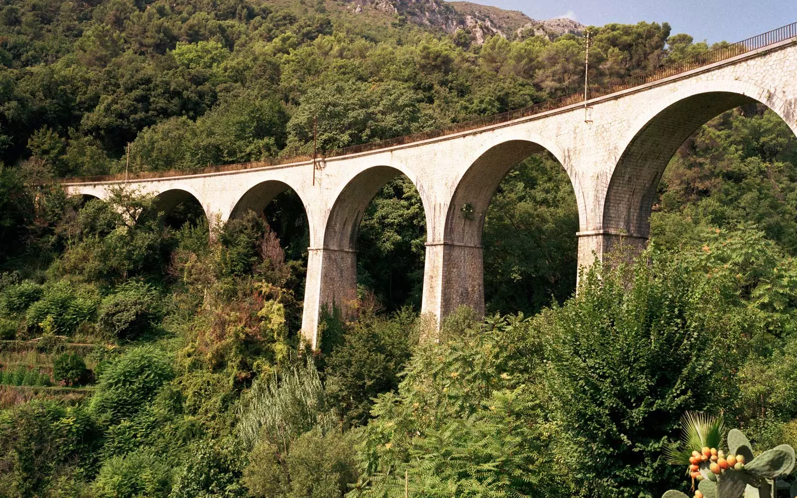 Comment se rendre sur la Côte d'Azur