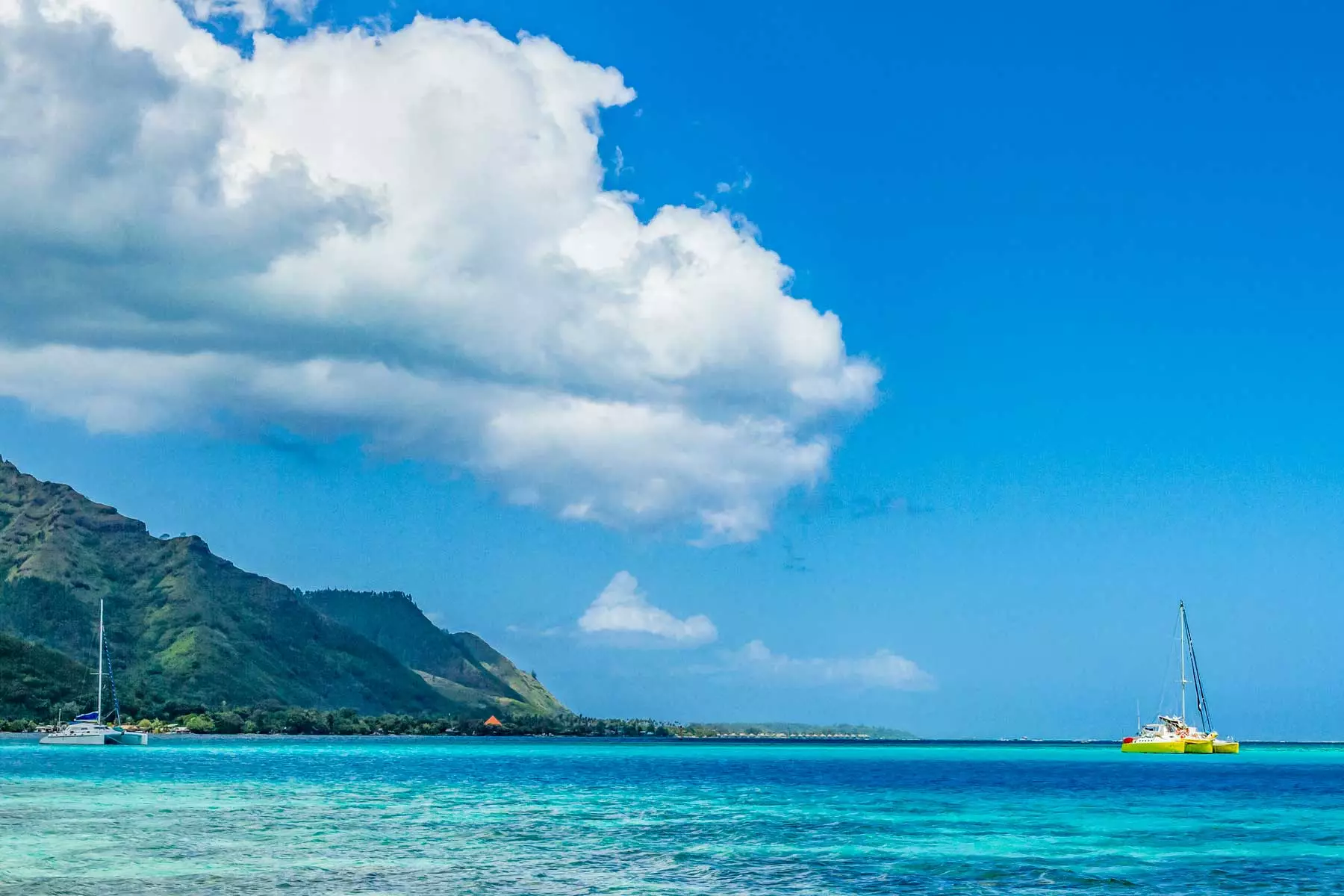 Ao anatin'ny Nosy Moorea, nosy rahavavin'i Tahiti, Polinezia frantsay.