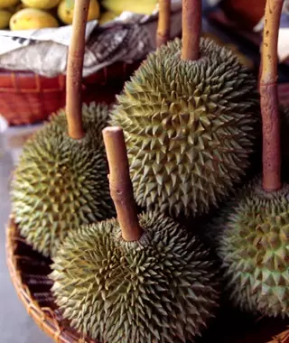 Durian