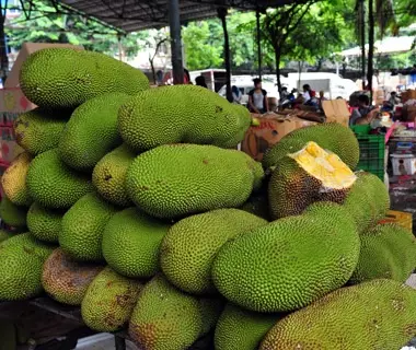 Jackfruit