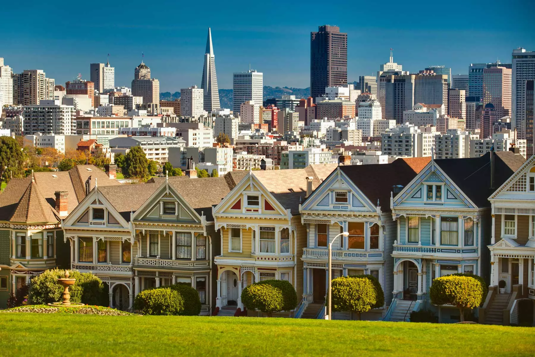 Paesaggio urbano del centro di San Francisco in California da Postcard Row (aka Pink Ladies)