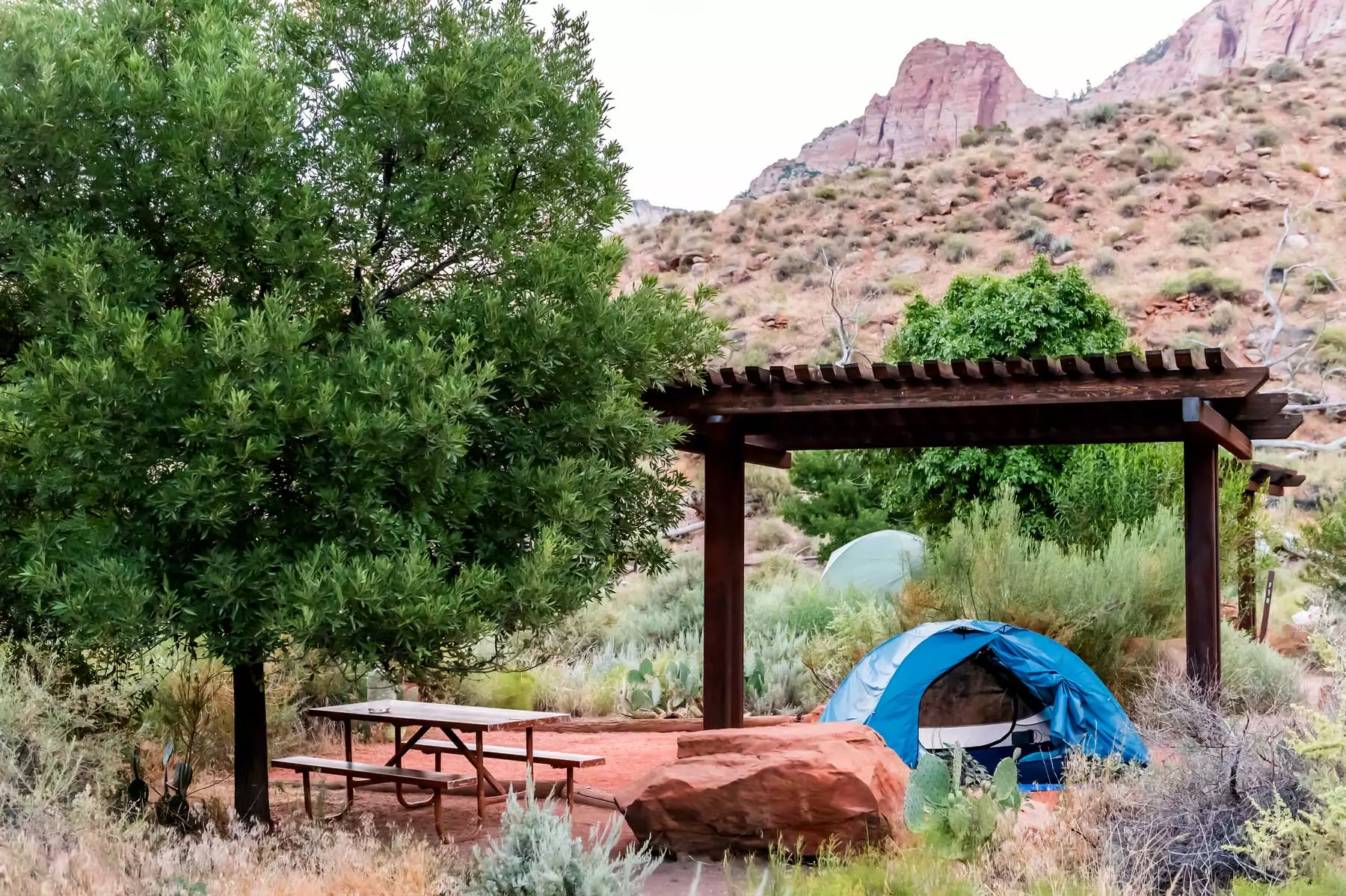 อุทยานแห่งชาติ Zion ในยูทาห์ยามเช้าพร้อมเต๊นท์ในบริเวณแคมป์ที่ Watchman Campground พร้อมโต๊ะปิกนิกและไม้เลื้อยปลูกไม้เลื้อย