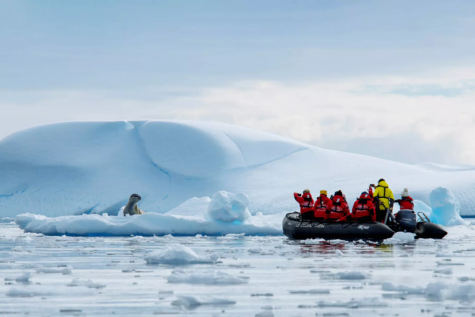 Pengembaraan oleh Disney Expedition Cruises – Pemandangan Hidupan Liar di Antartika