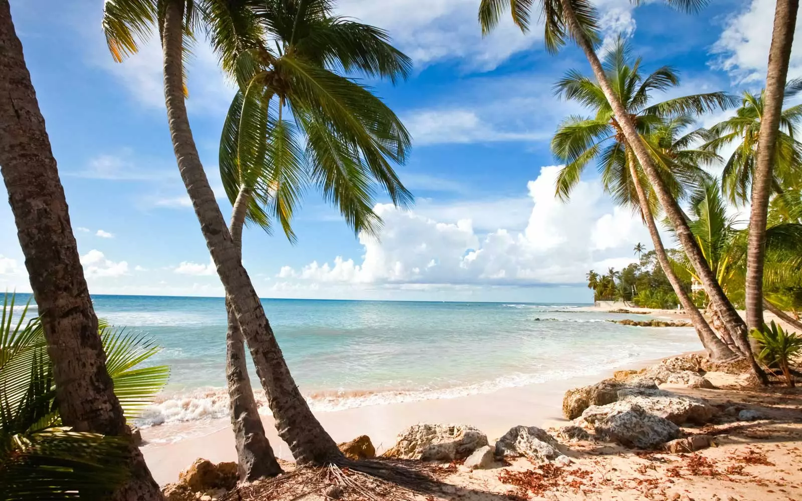 Plaja de pe Coasta de Vest din Barbados