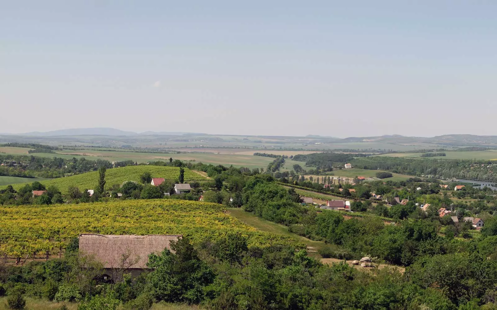 Utsikt från Etyek Wine Country i Ungern