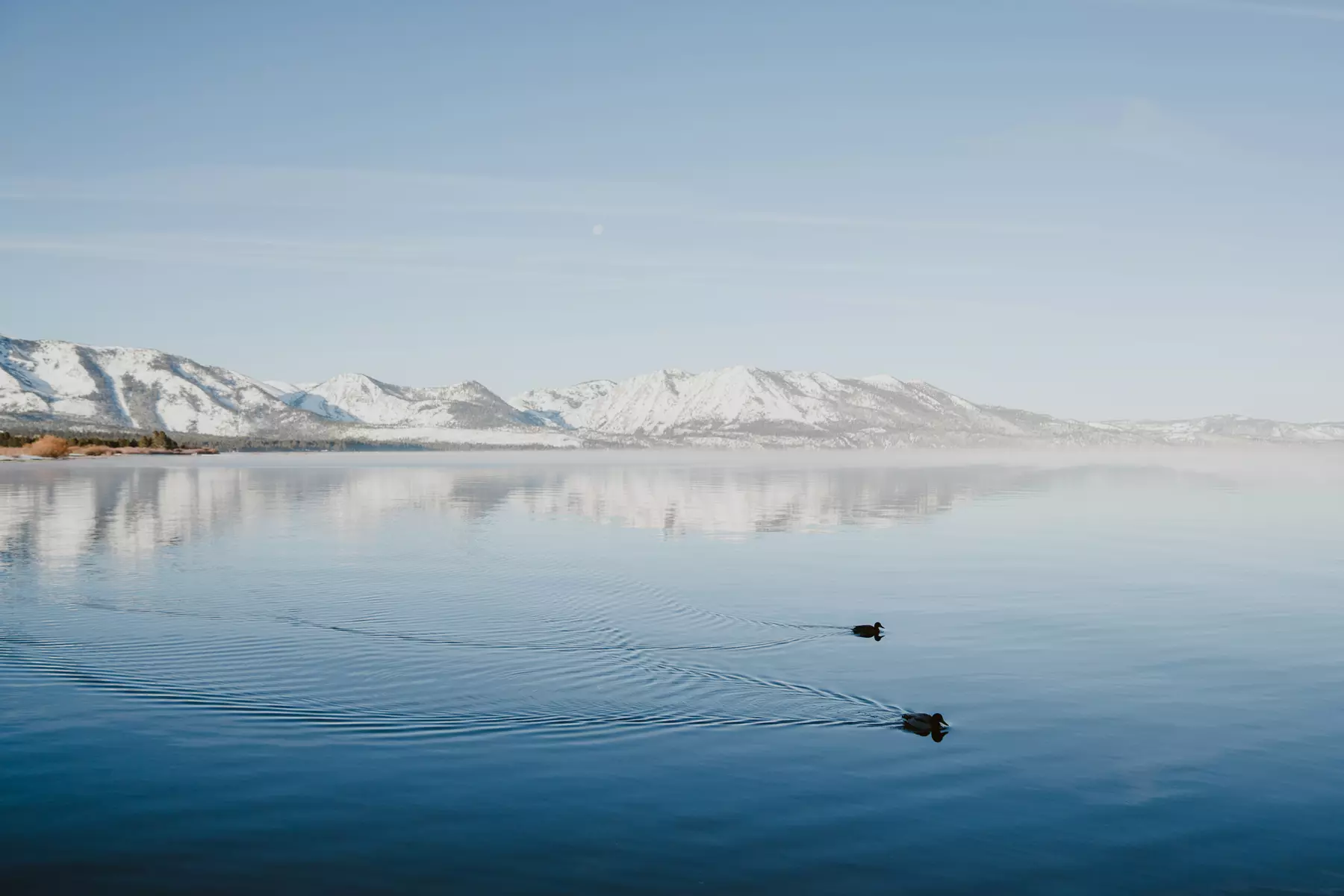 Vista de manhã cedo do lago Tahoe e montanhas com patos nadando durante o inverno